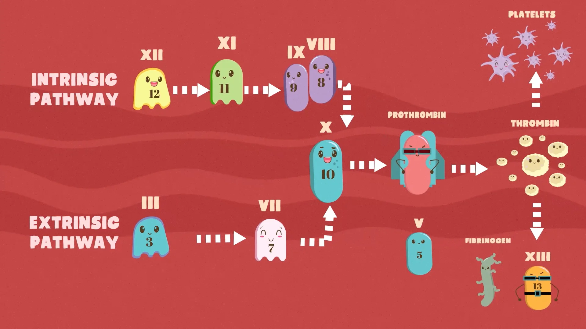 Rare_Factor_Disorders