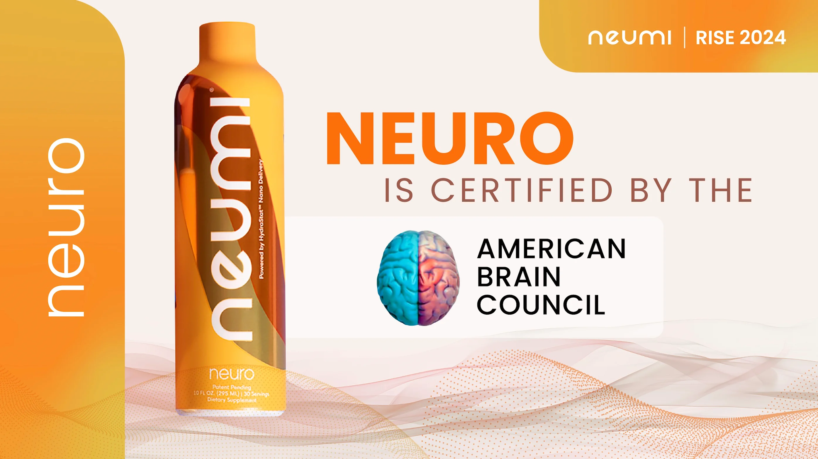 NEURO SHORT 6 MINUTE OVERVIEW