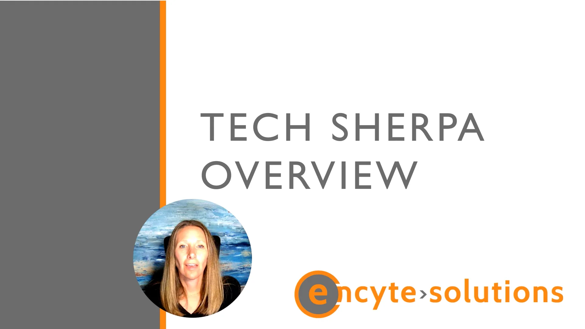 Tech Sherpa Overview.mp4