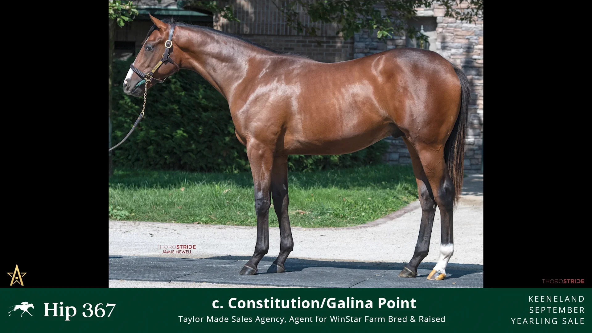 KEESEP24, Hip 367, c. Constitution - Galina Point 23