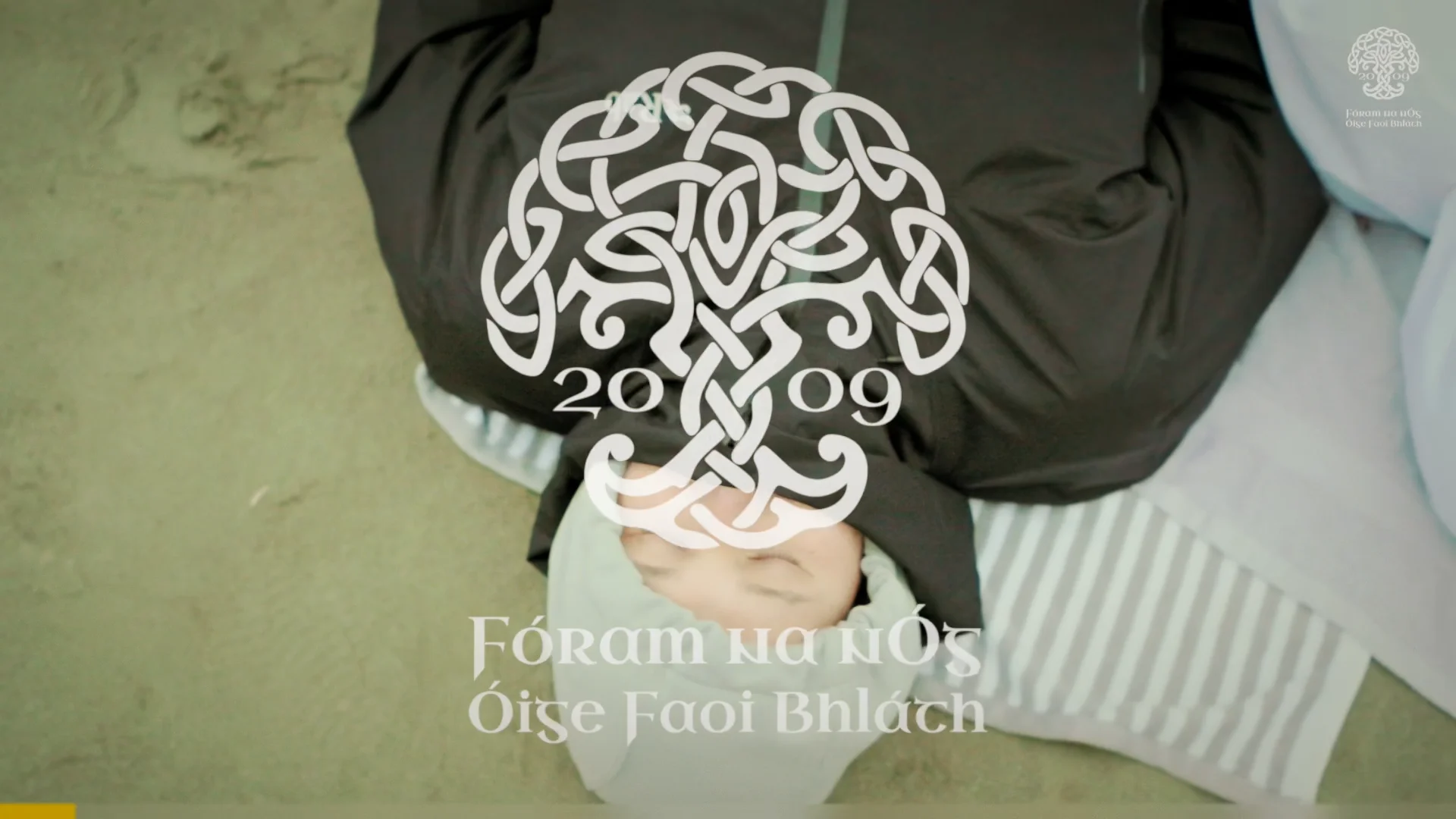 Foras na Gaeilge Conference