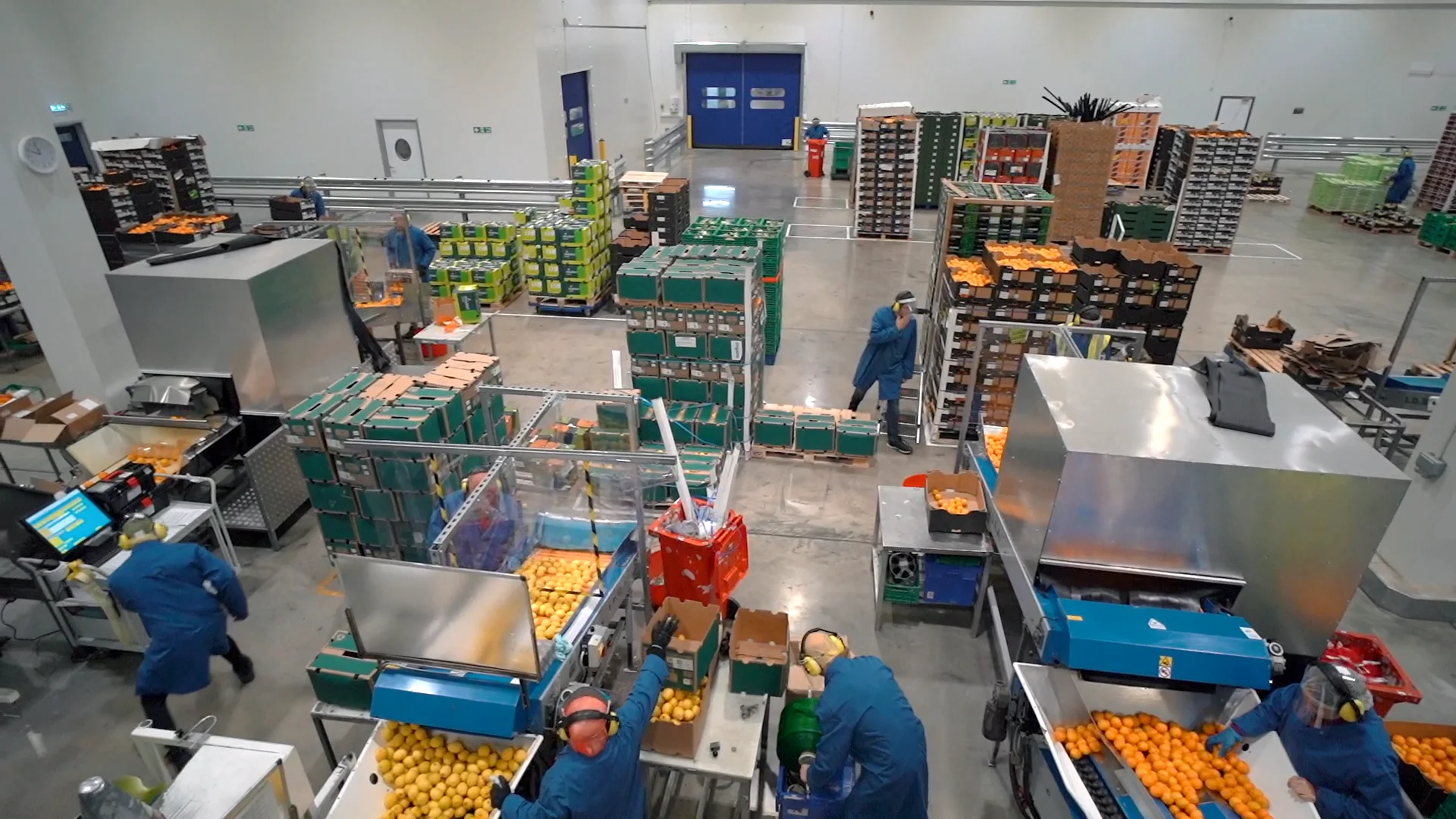 Primafruit Website Video