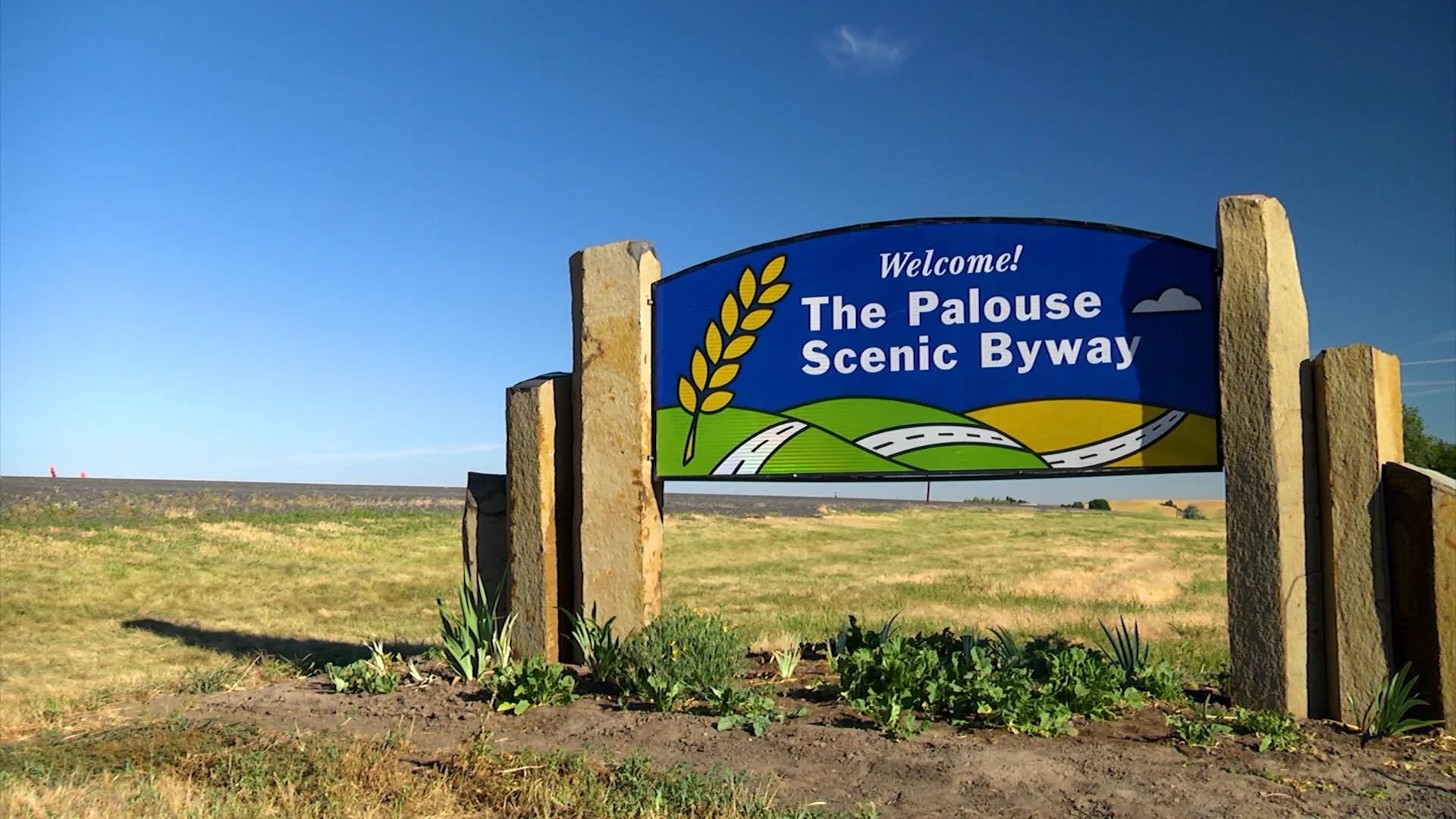 Palouse Scenic Byway: Pullman 2024