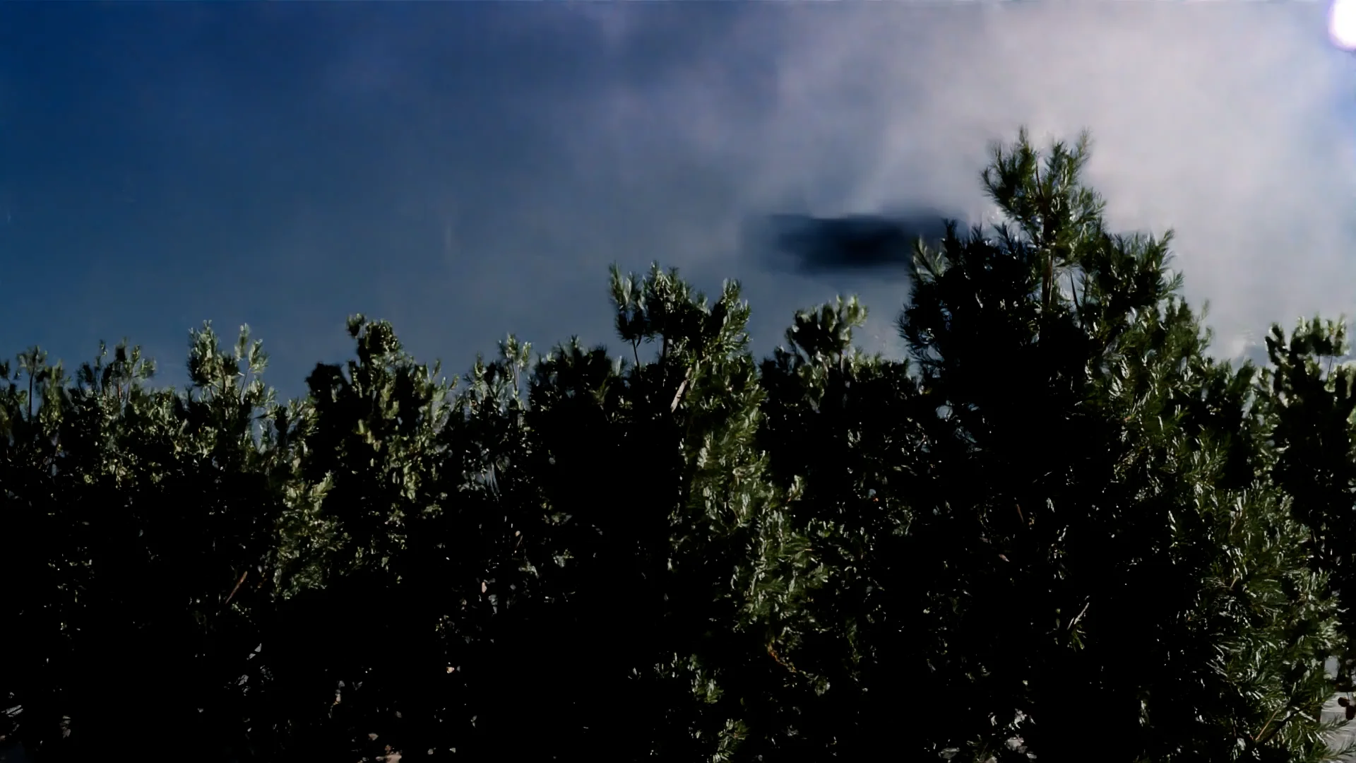 Blasteroid 2: Eyewitness Fireball, version 2