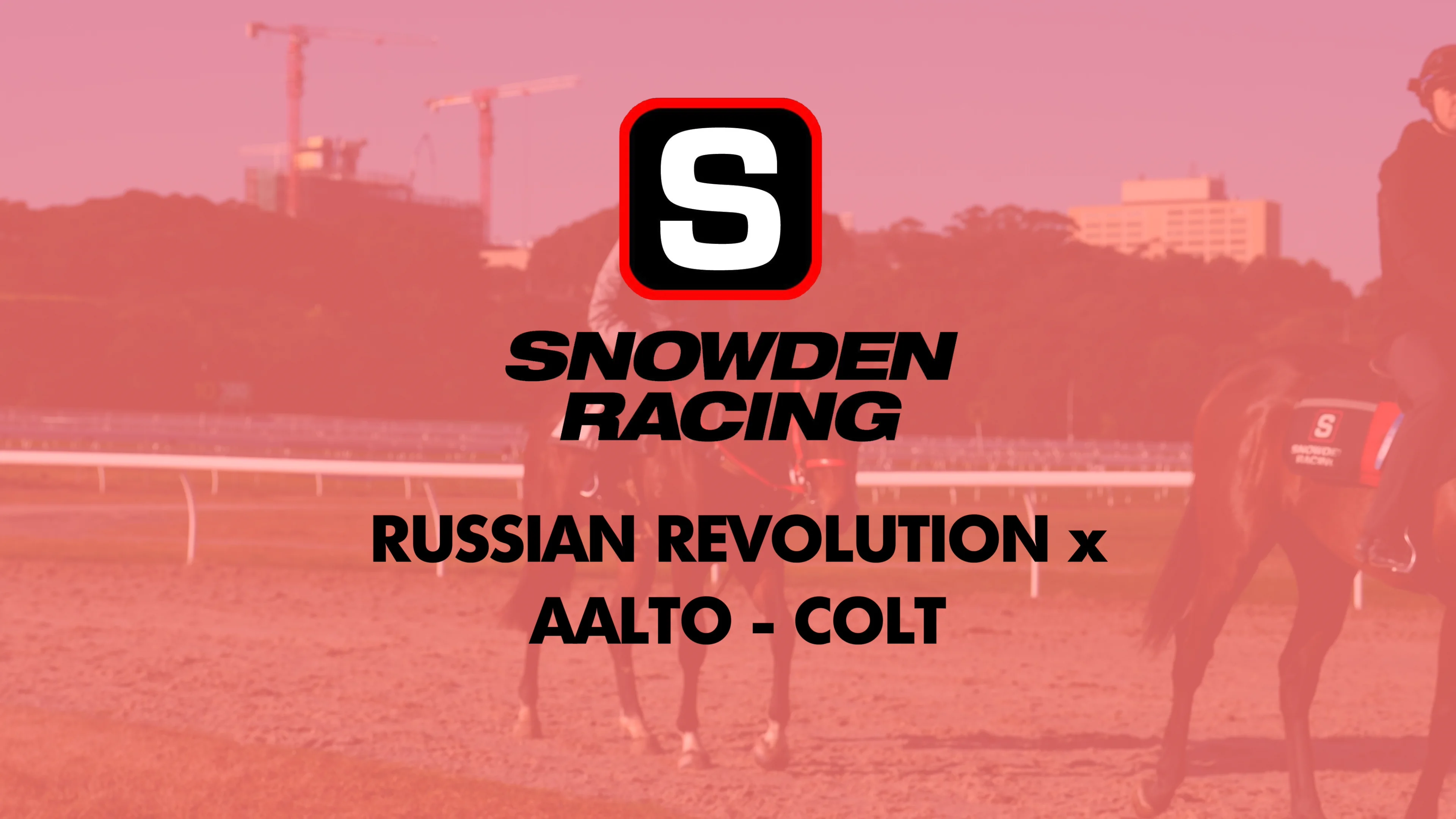 SNOWDEN RACING - RUSSIAN REVOLUTION X AALTO