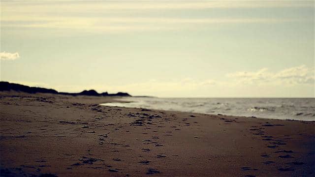 beach loop short HD on Vimeo