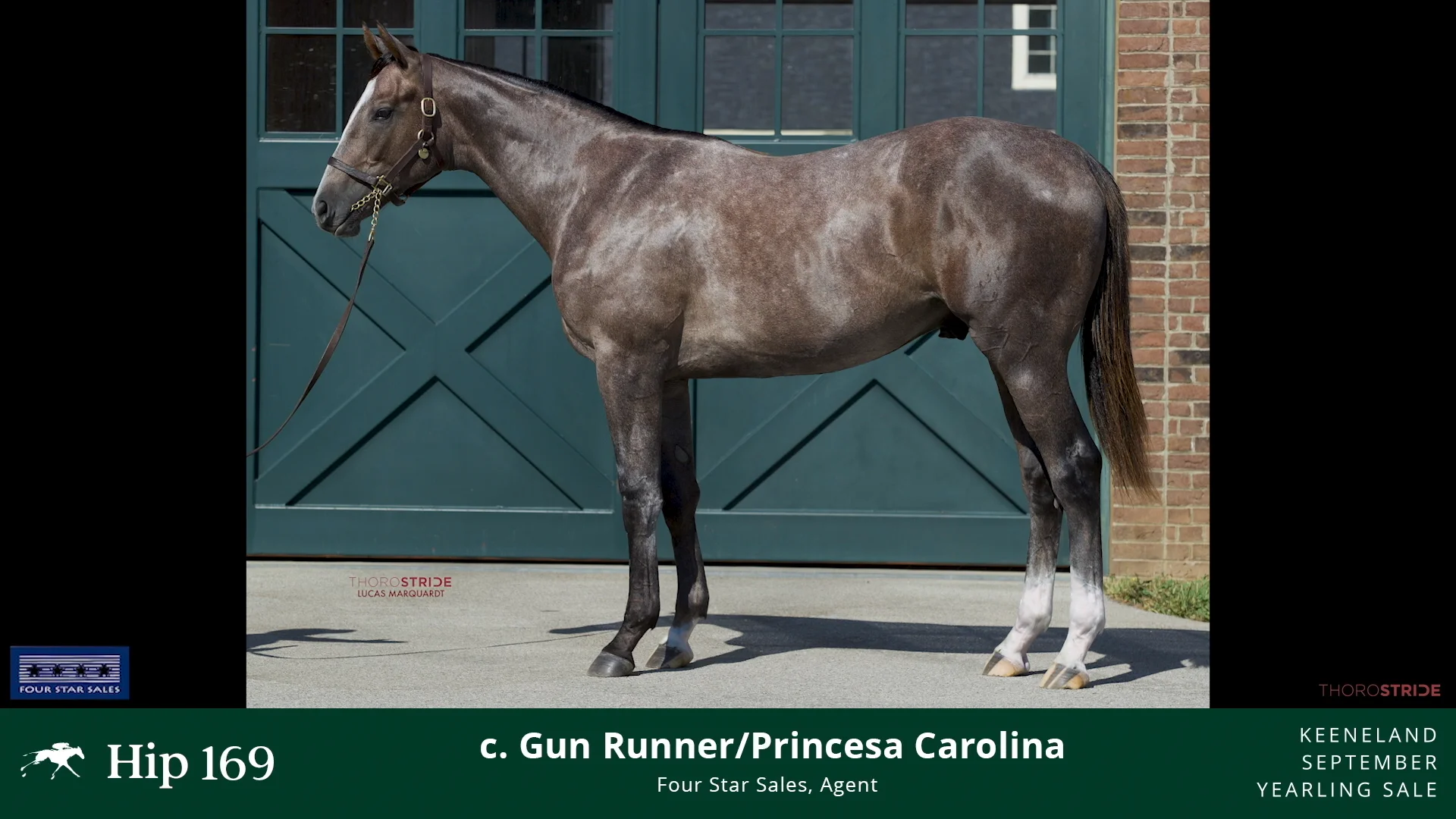 KEESEP24, Hip 169, c. Gun Runner - Princesa Carolina 23