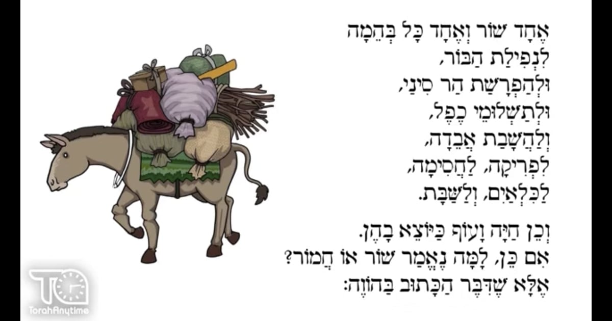 R' Maimon Elbaz | Living Mishna - Fascinating Laws about Animals ...