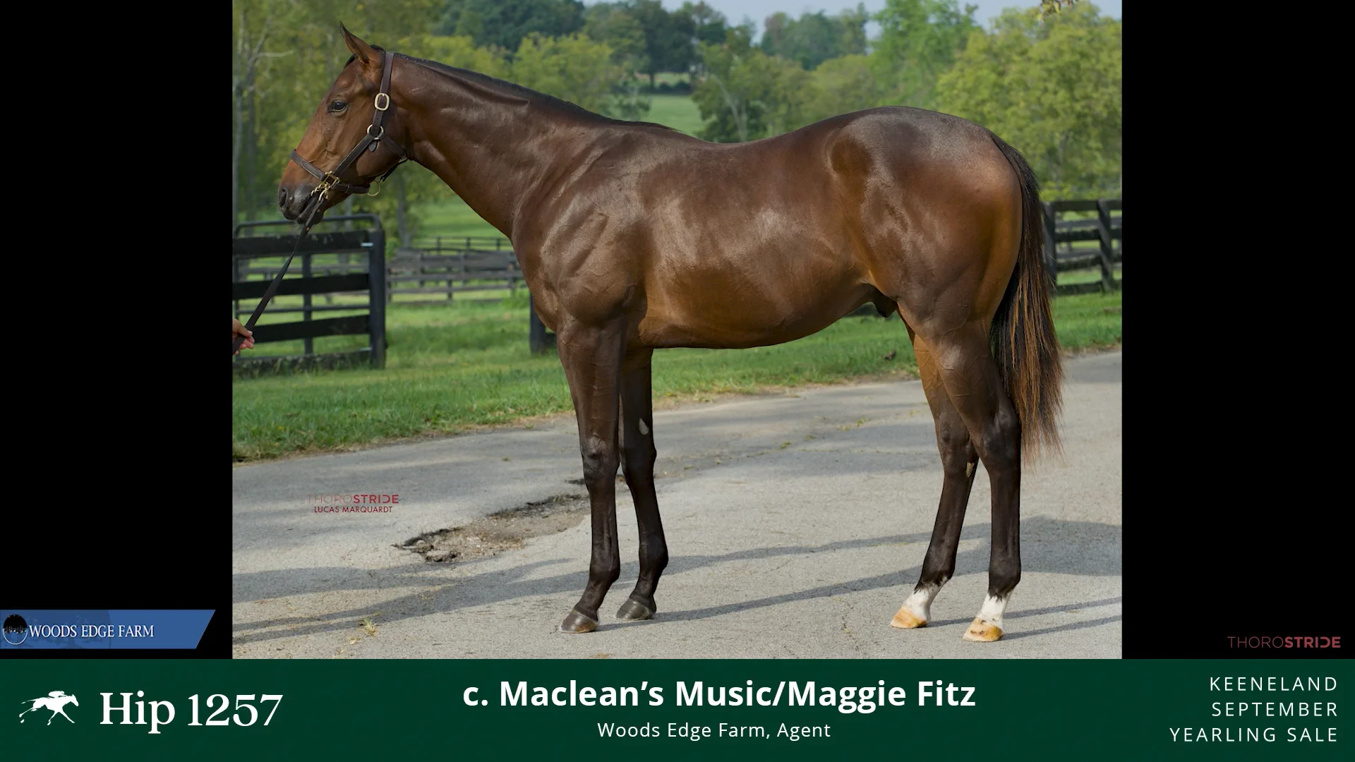 KEESEP24, Hip 1257, c. Maclean's Music - Maggie Fitz 23