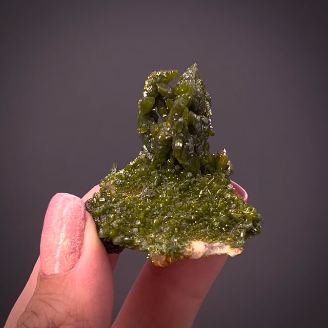 Pyromorphite - POHL24-007 - Les Farges Mine - France Mineral Specimen
