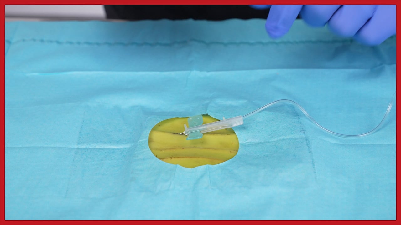 Kawasumi K-Shield Advantage Safety Winged Blood Collection Set Training ...