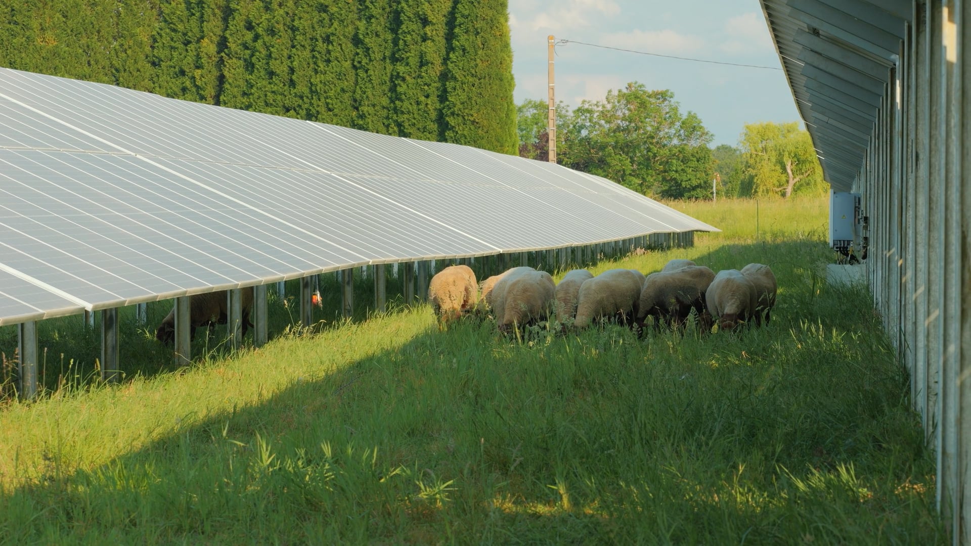 Schedule | Virginia Solar Summit