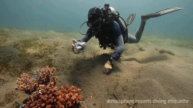 Dive Etiquette video for Atmosphere resorts on Vimeo
