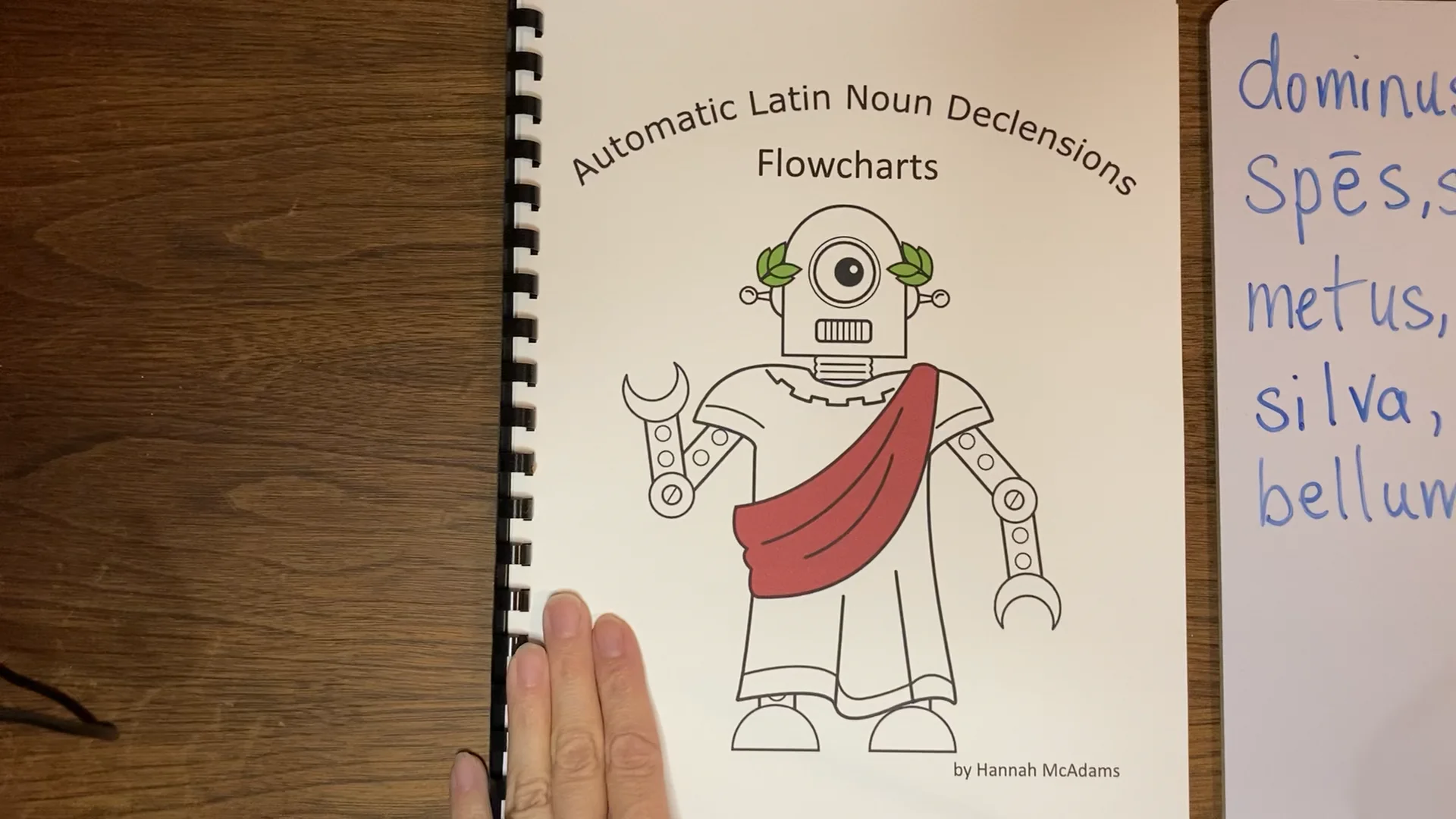 Using the Latin Noun Flowchart