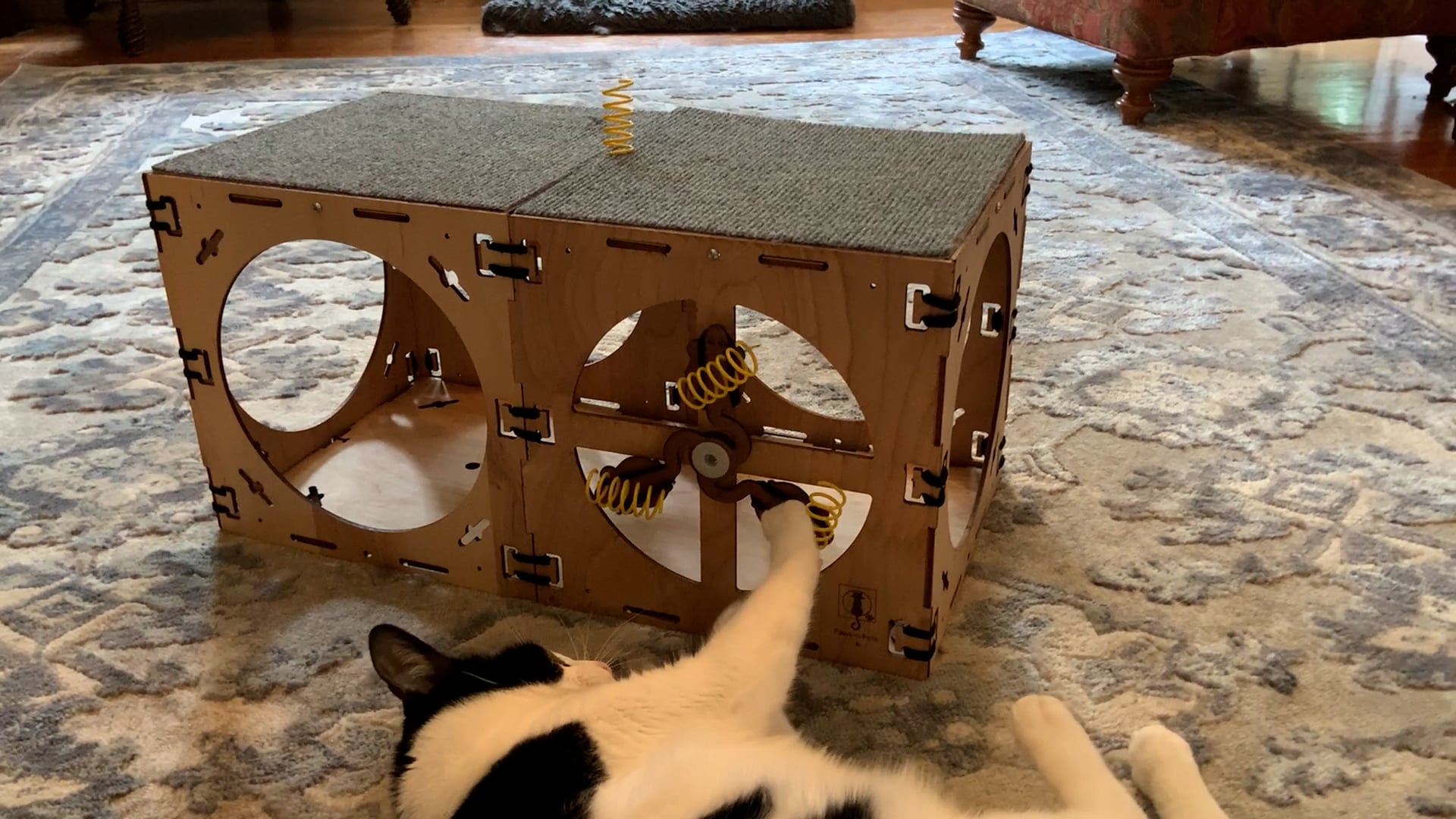 Quality Custom Wood Playhouses for Your Pets
