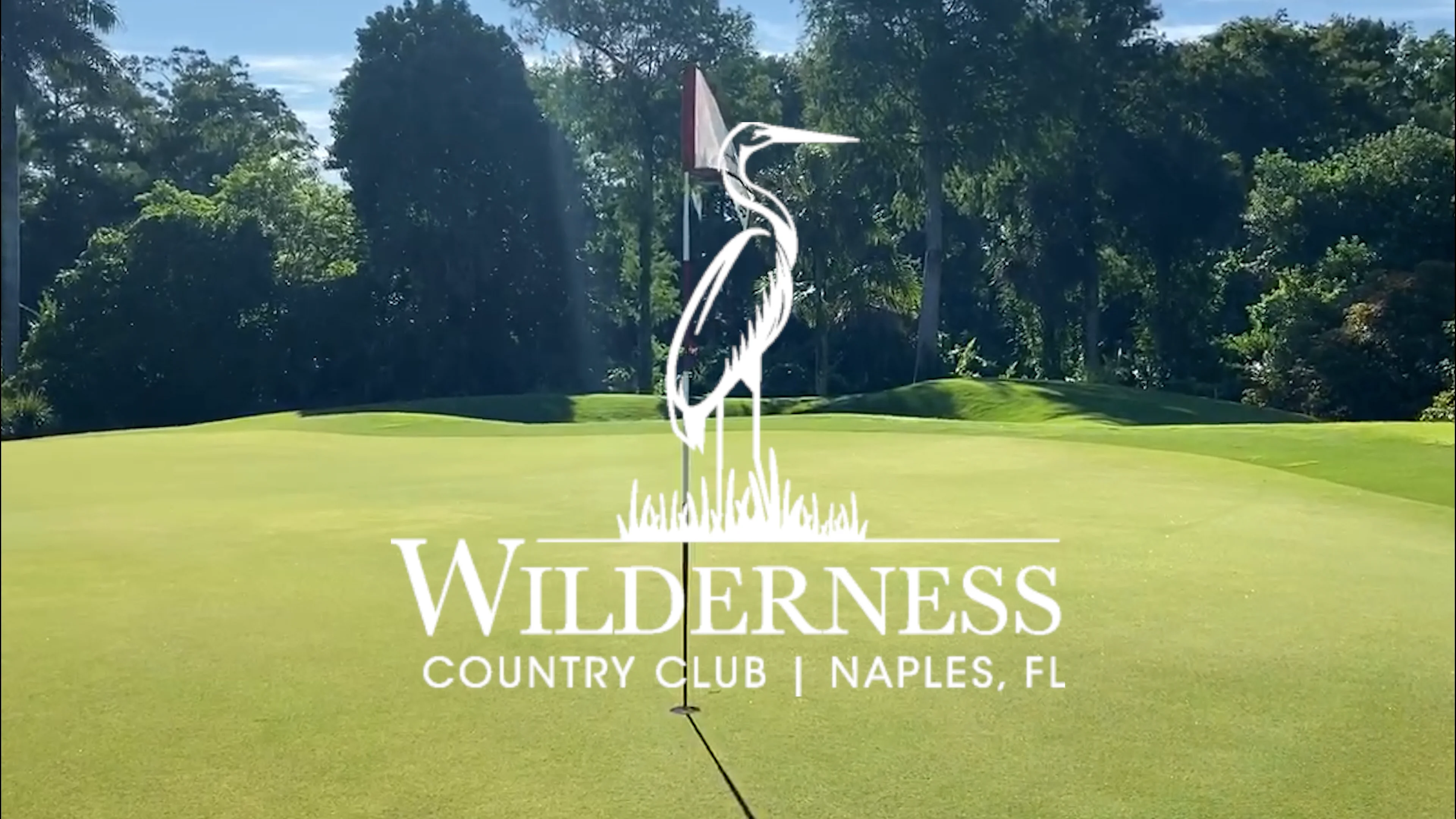 How Scottie Scheffler's Footwork Can Help You | Sara Dickson