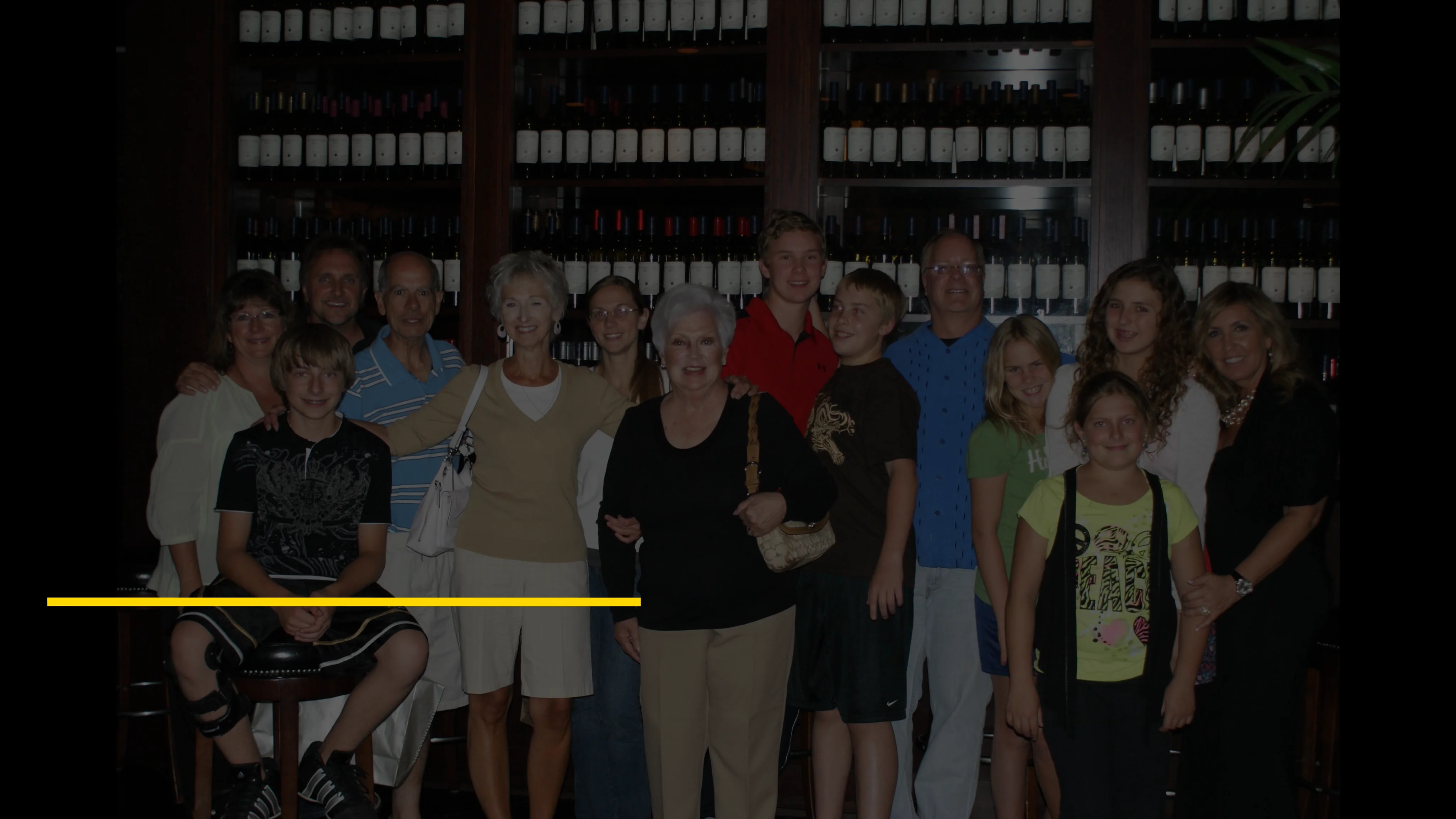 2010 Gibbs Family Video