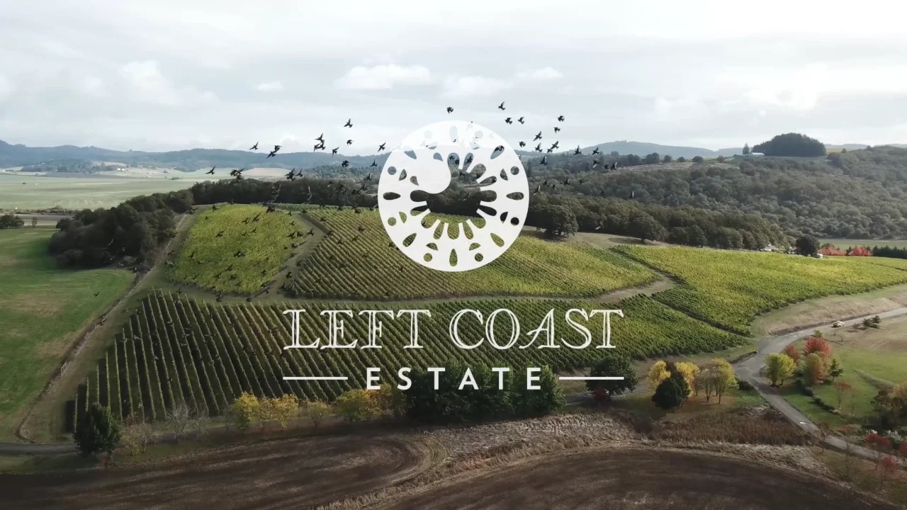 Left Coast Estate Brand Overview 2024