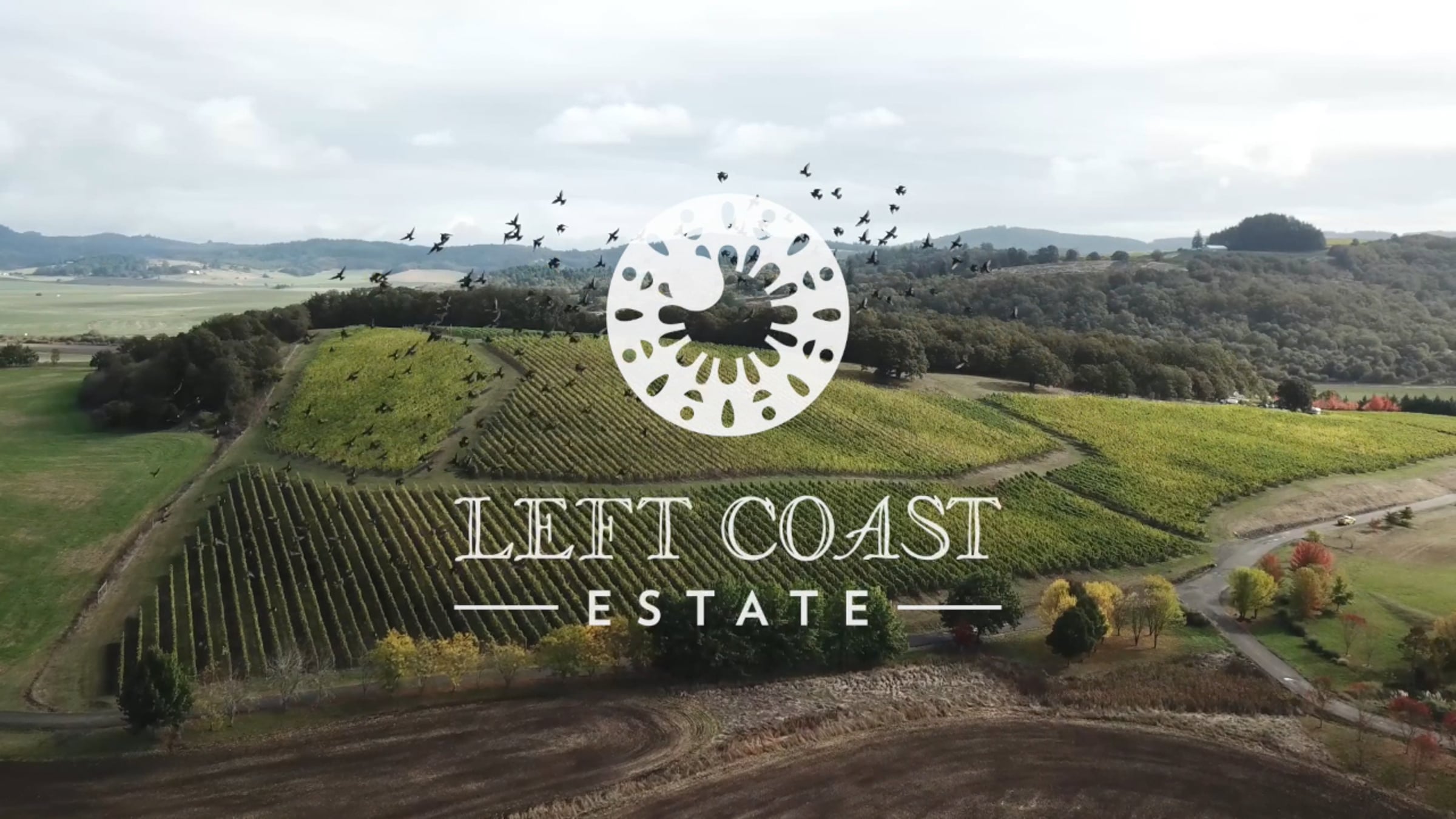 Left Coast Estate Brand Overview 2024