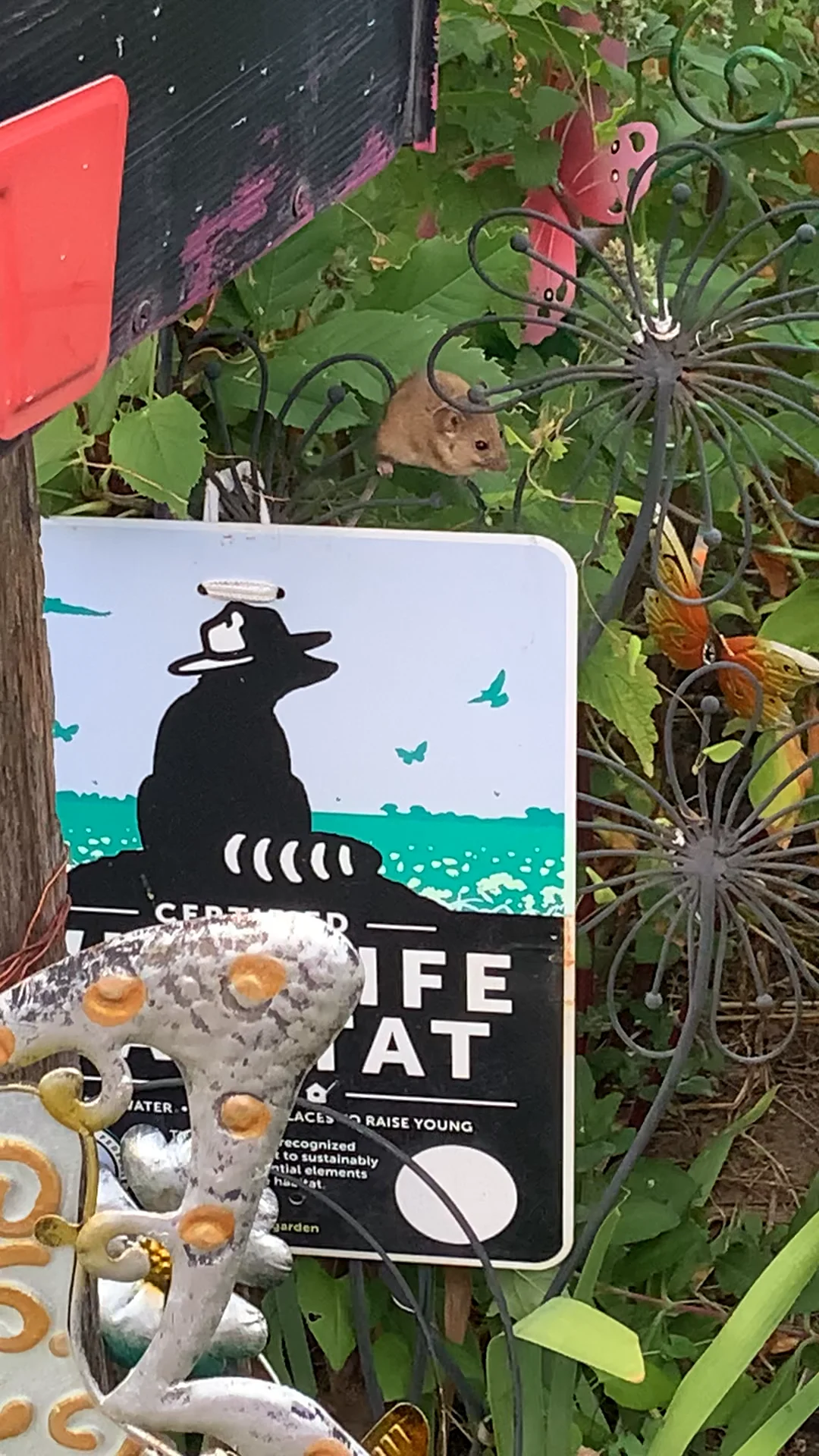 Preble Jumping Mouse Wildlife Sanctuary