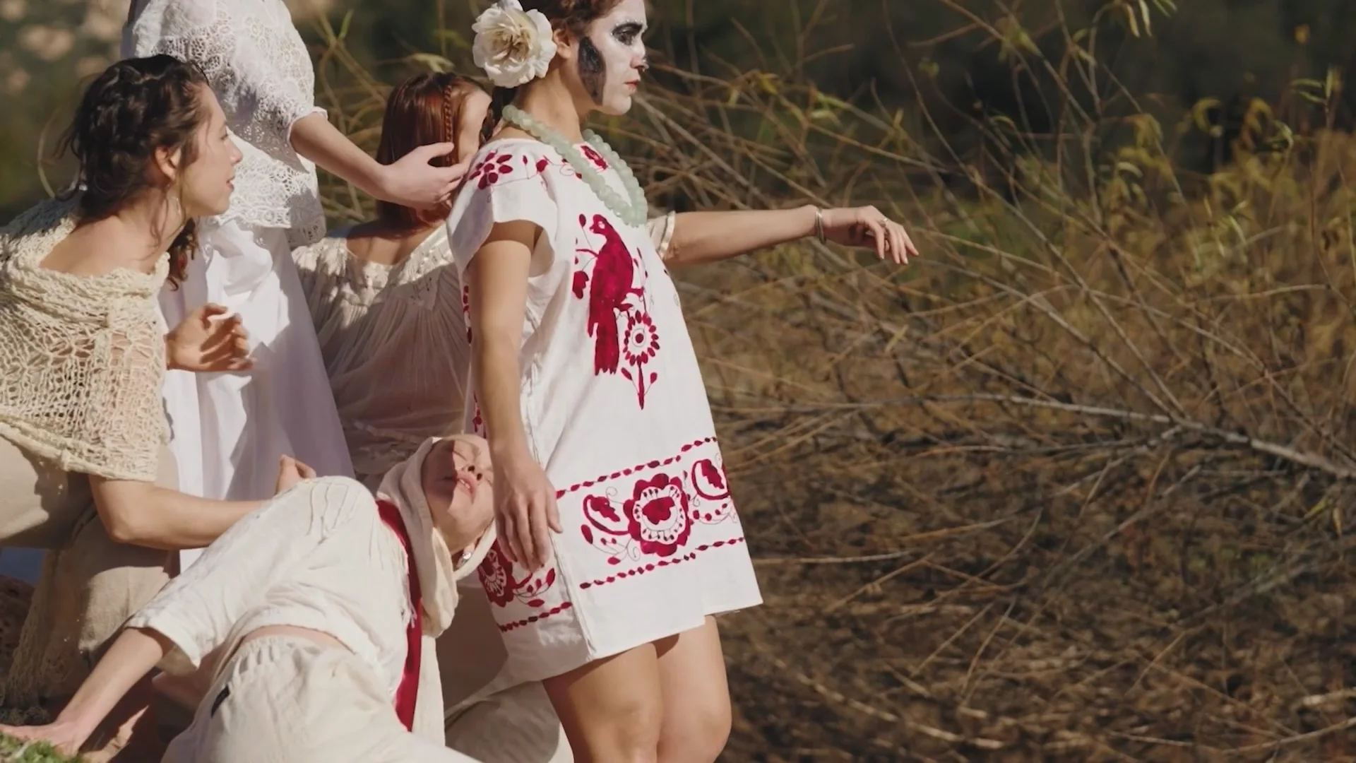 TRAILER for Friday October 11, 2024 7:00 PM Screening of Short Dance ...