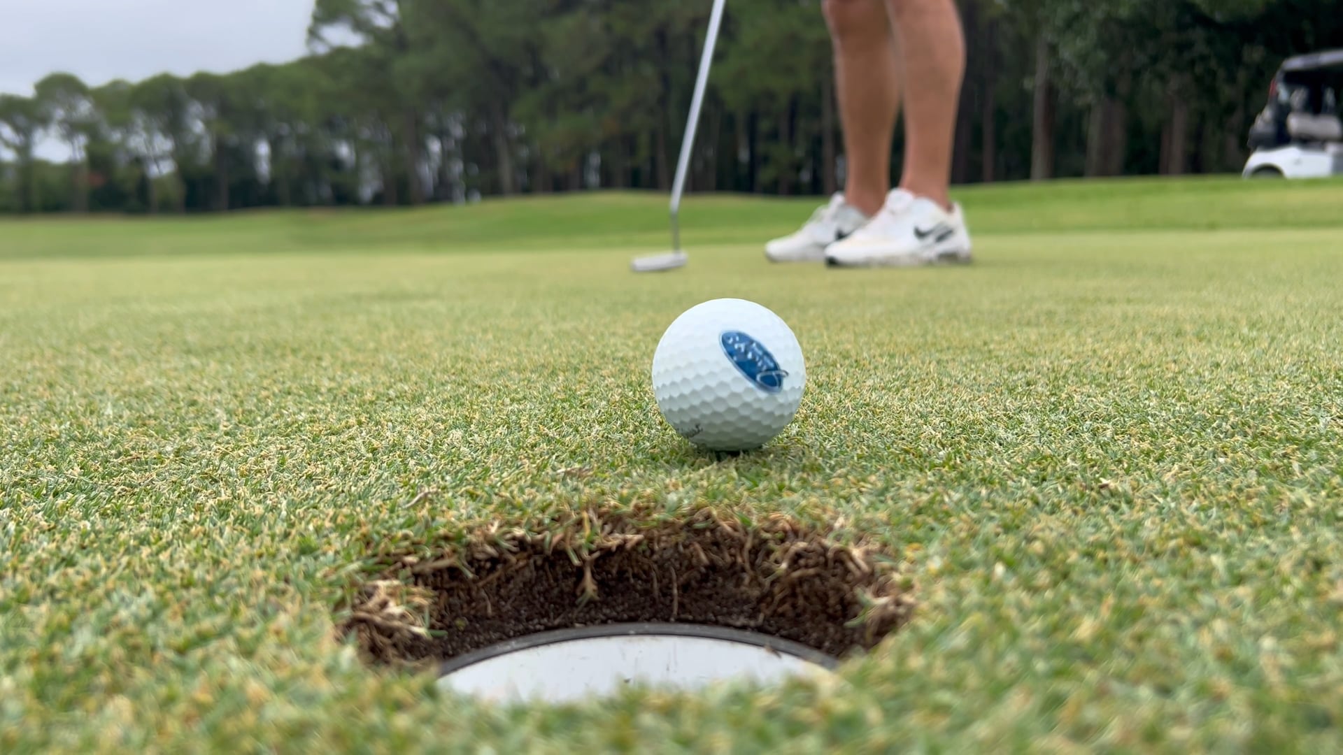 Purple Pigeon Golf