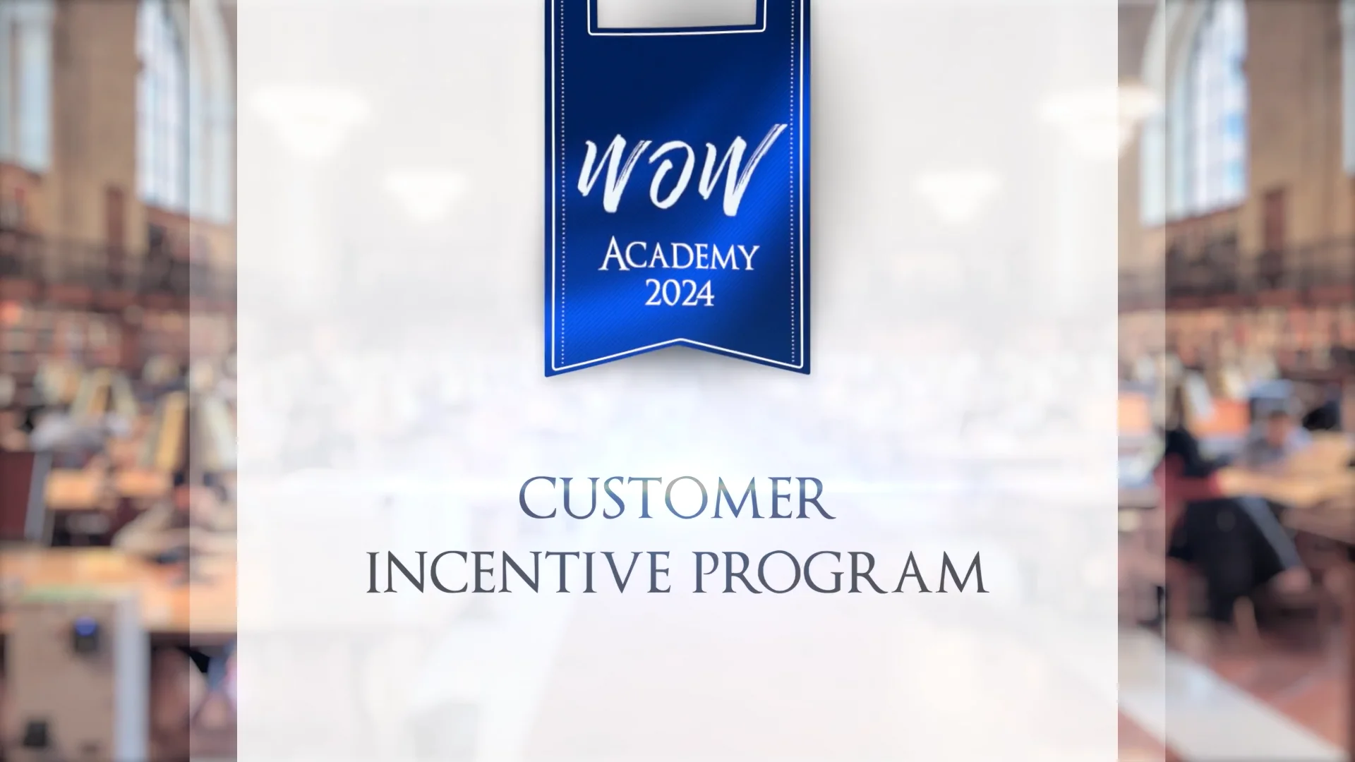 CUSTOMER INCENTIVE PROGRAM