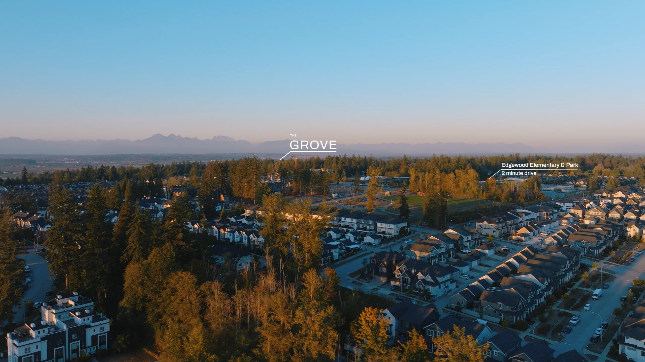 The Grove Arial View