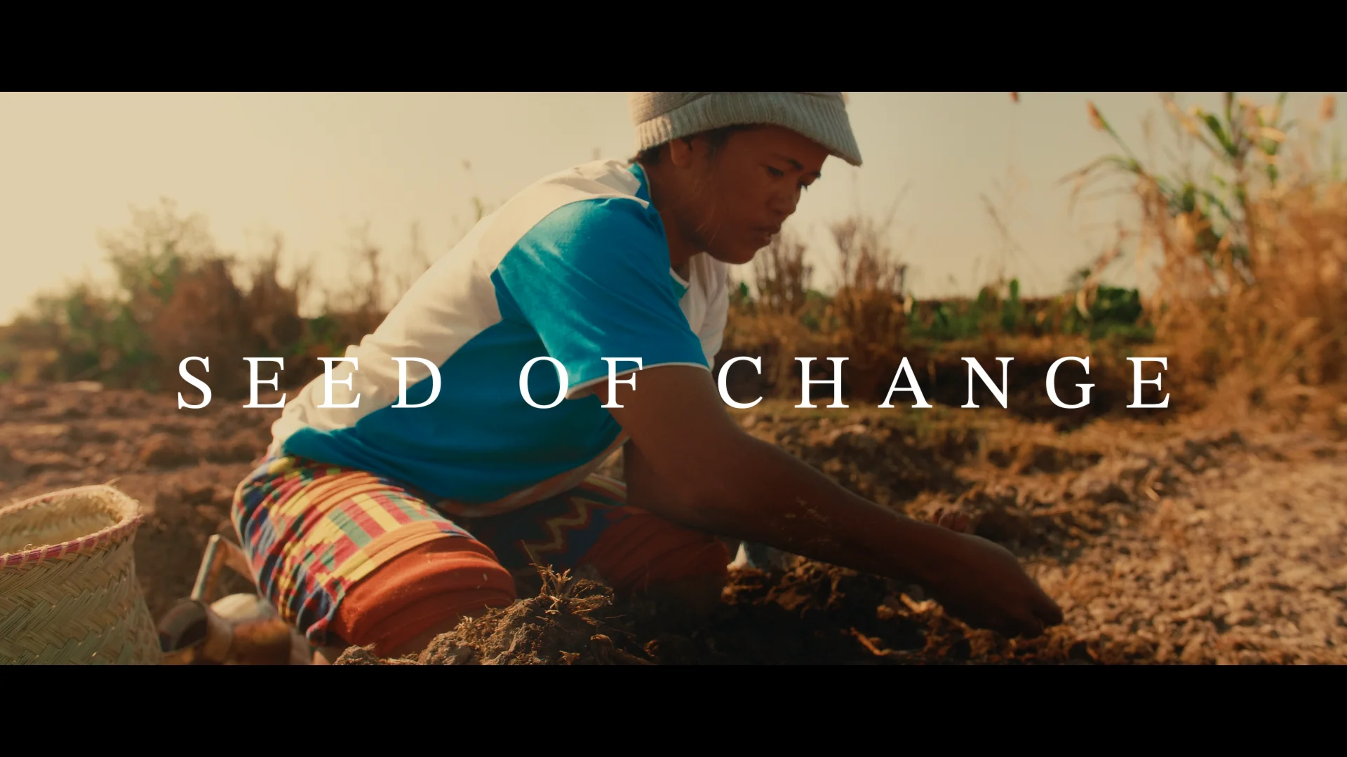 Seed of Change - A Crown Testimony