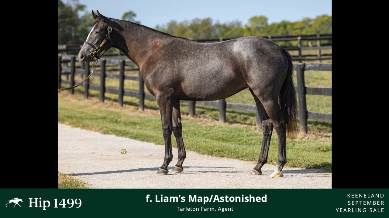 Hip 1499 Kee Sep Liam's Map - Astonished