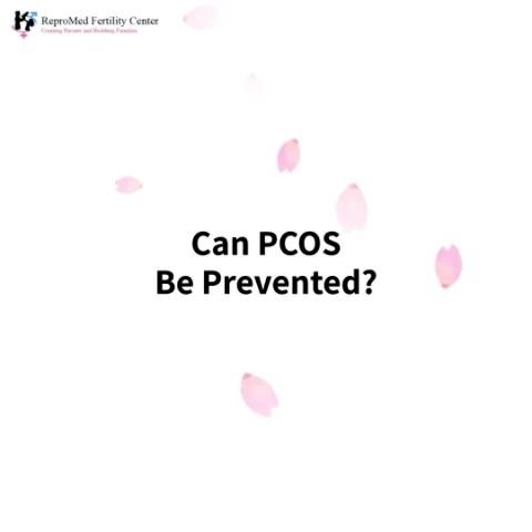 Square Copy of Can PCOS Be Prevented?_September_2024