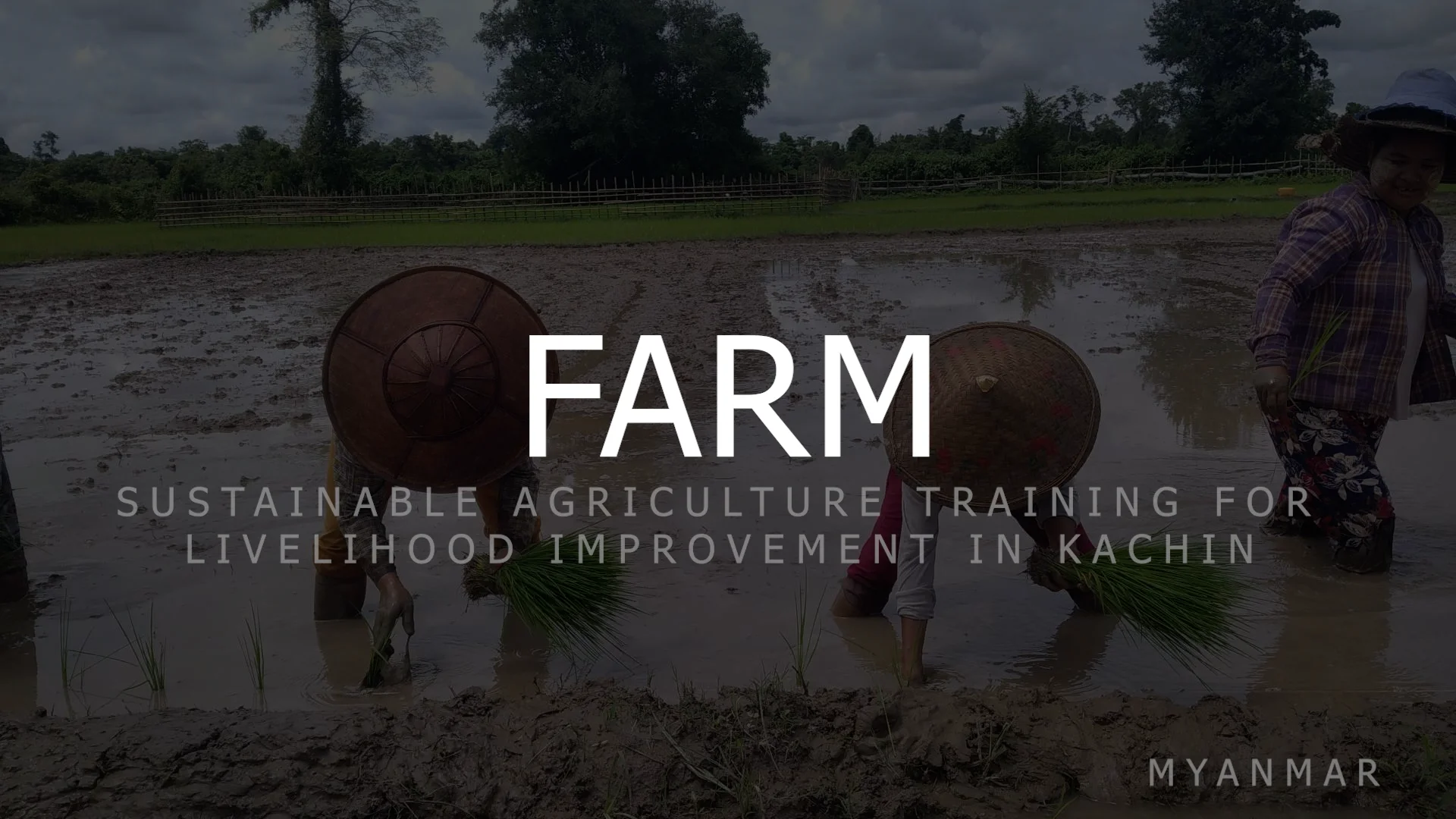 Myanmar_FARM Project_Alinn Banmaw