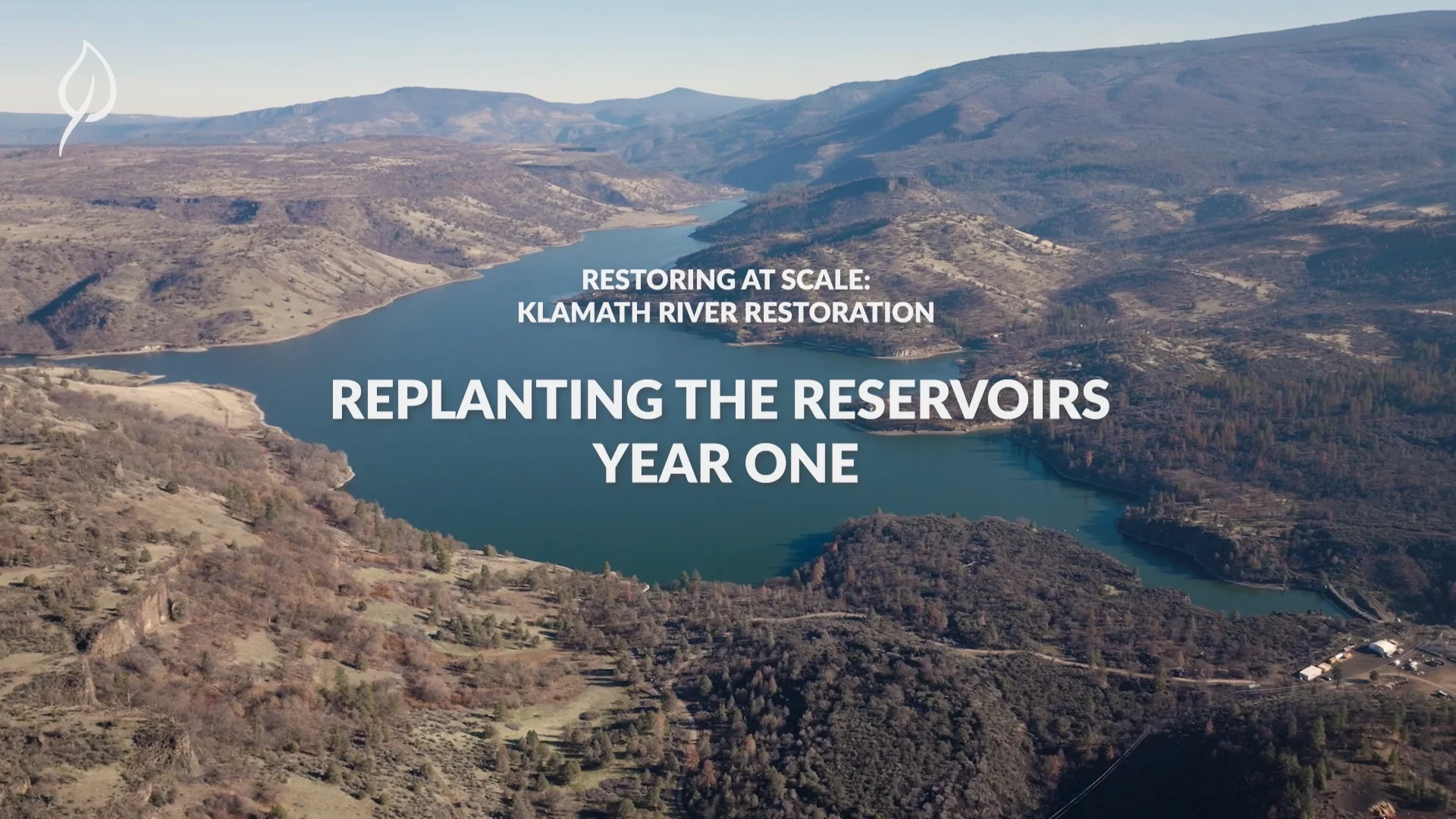 Replanting the Reservoirs, Year One | Klamath River Restoration ...