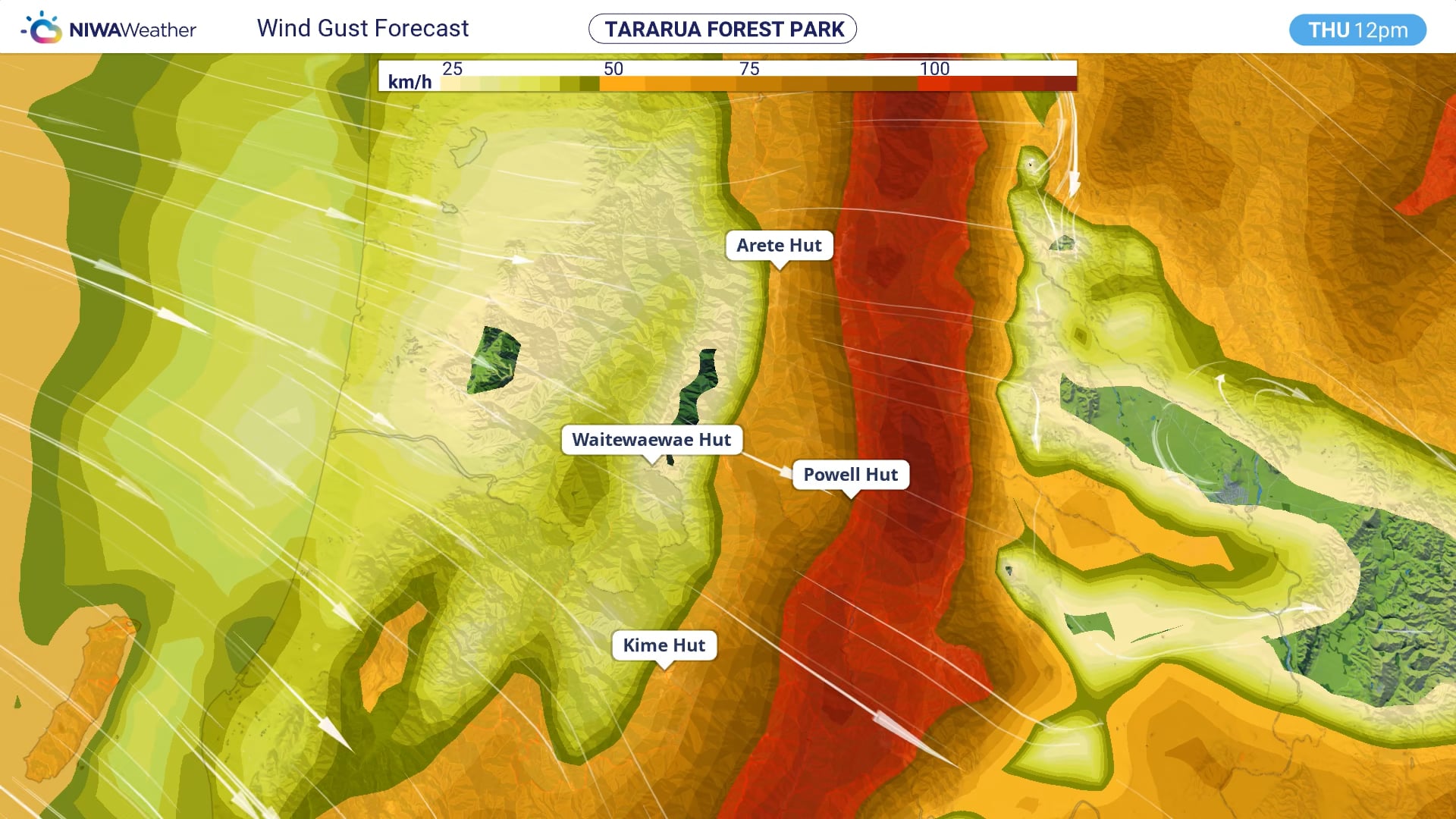 Tararua Forest Park Weather Outlook