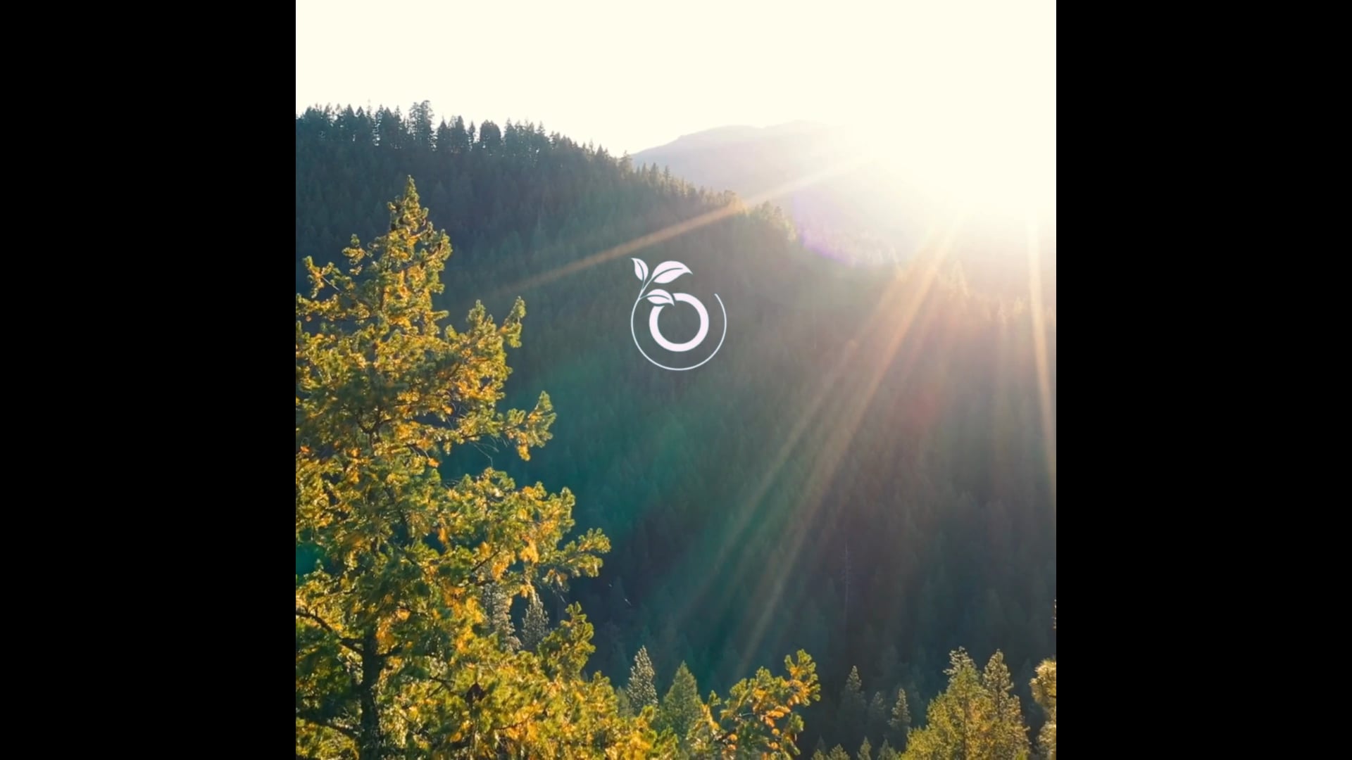 Hyperbaric Oxygen Therapy for Skin | Oxygen Room