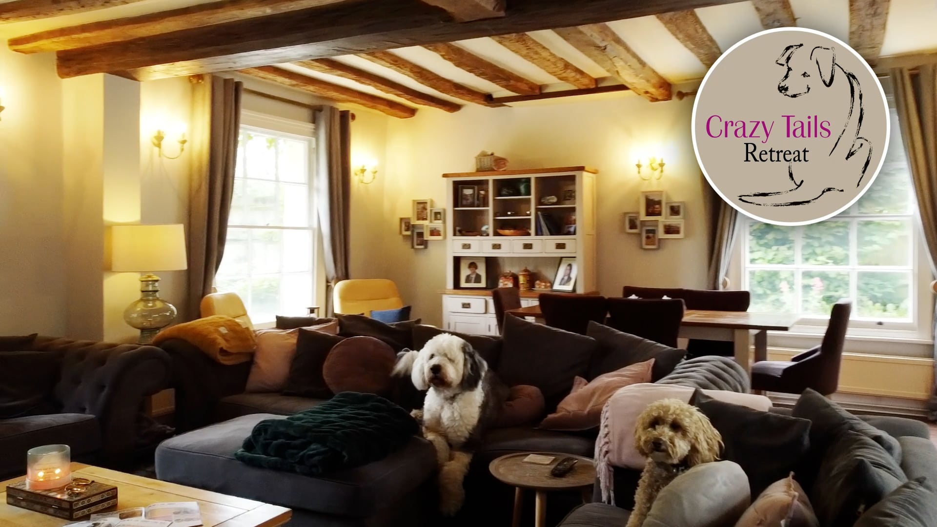 Home [crazytails.co.uk]