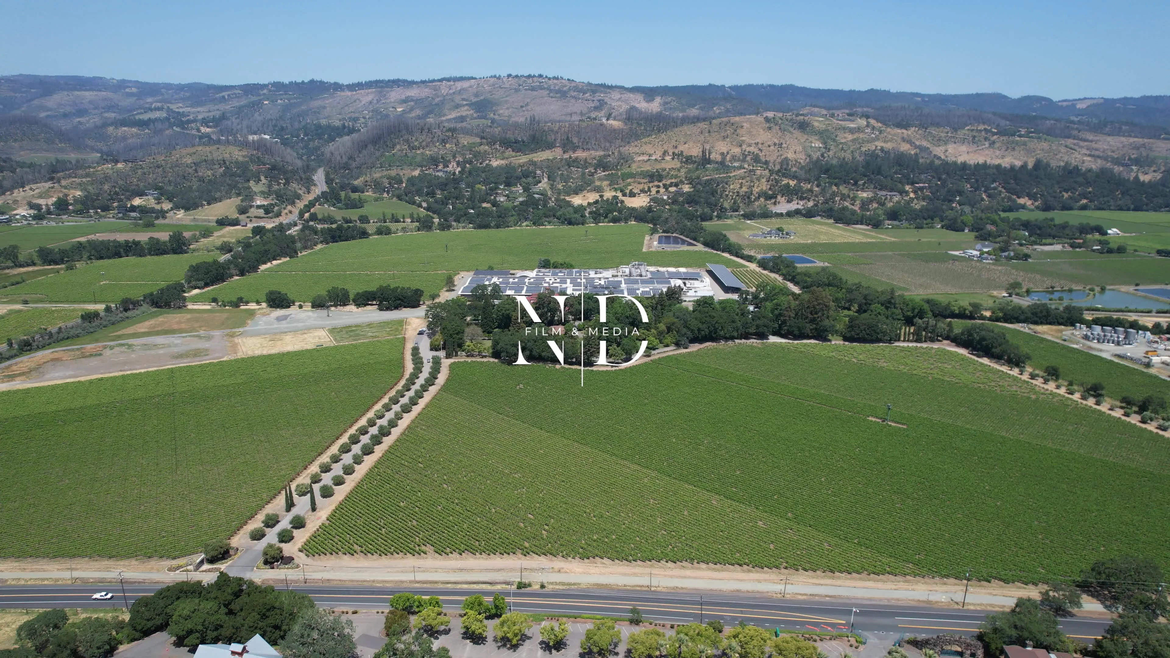 Simone & Adam | Highlight