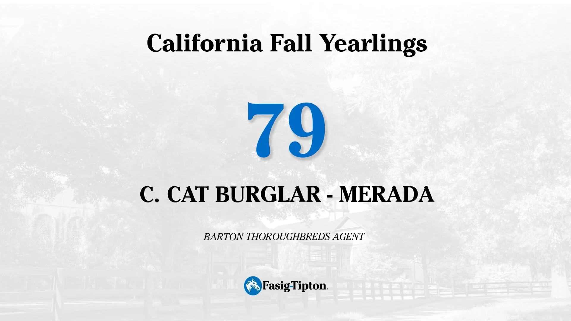 FTCASEP24 Hip 79, c. Cat Burglar-Merada