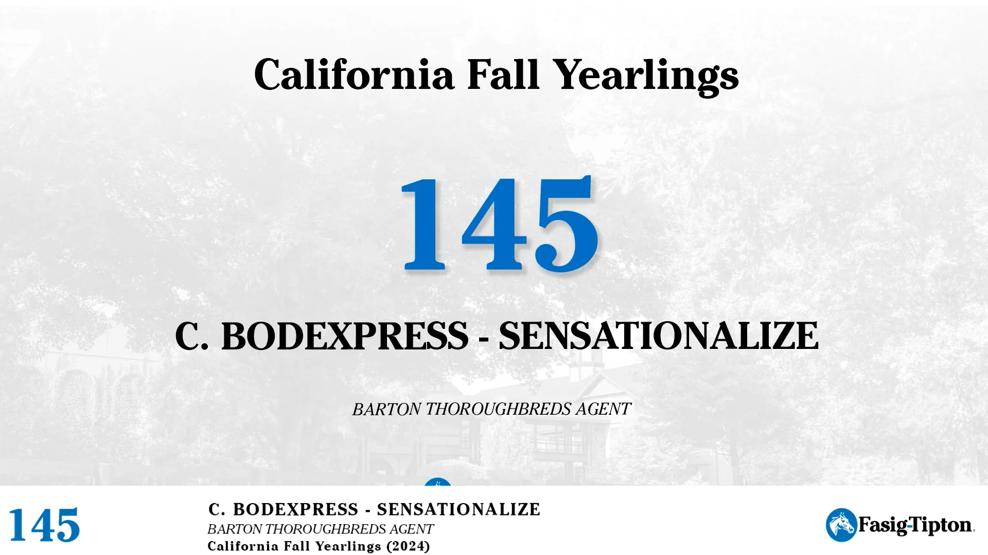 FTCASEP24 Hip 145, c. Bodexpress-Sensationalize