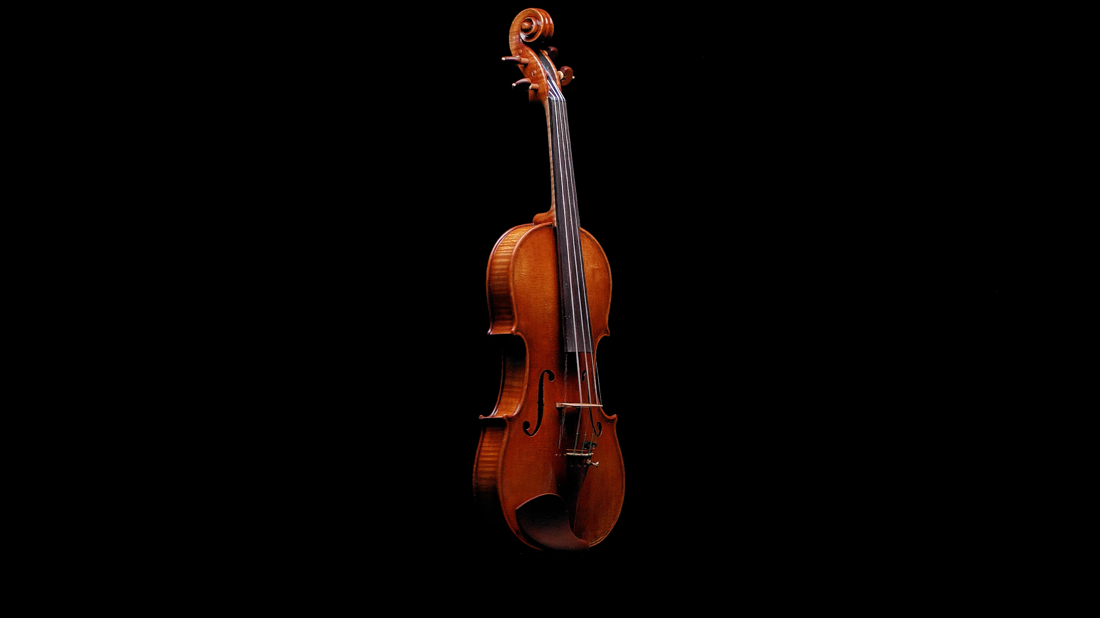 violin_showcase_4K_long