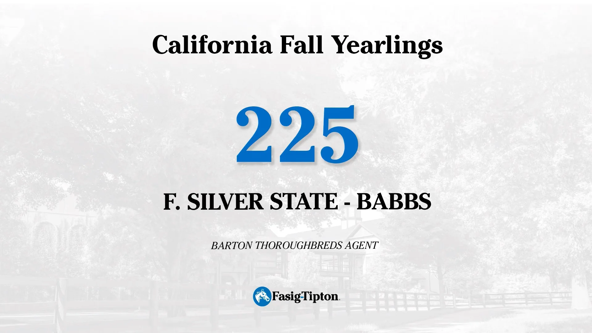 FTCASEP24 Hip 225, f. Silver State-Babbs