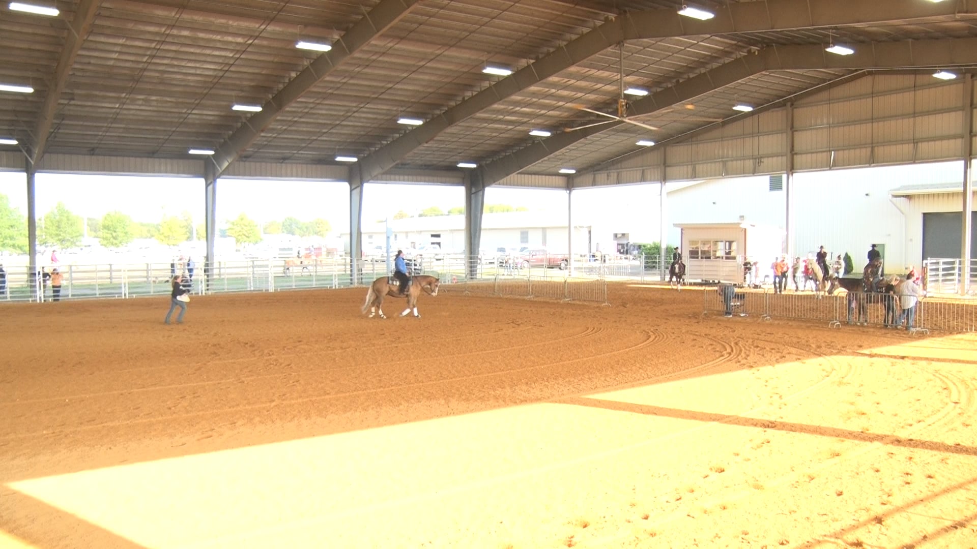 2024 EPRHA Reining Thunder Green Amy Boylan On Mobsters Top Gun