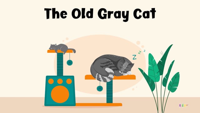 The Old Gray Cat | MusicplayOnline