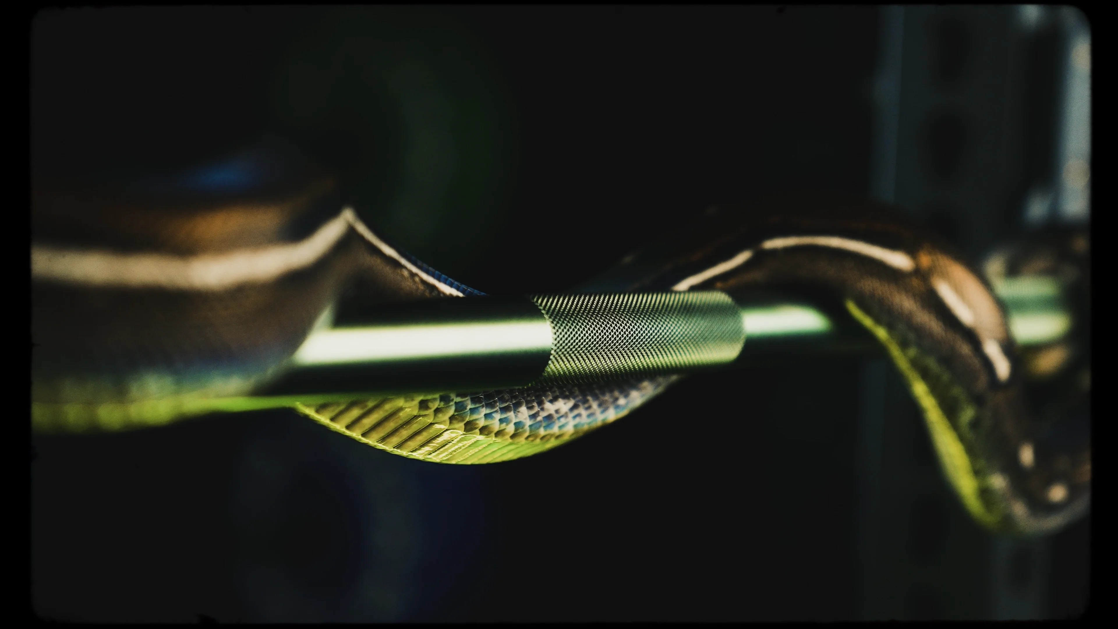 Medusa Power Bar | Titan Fitness
