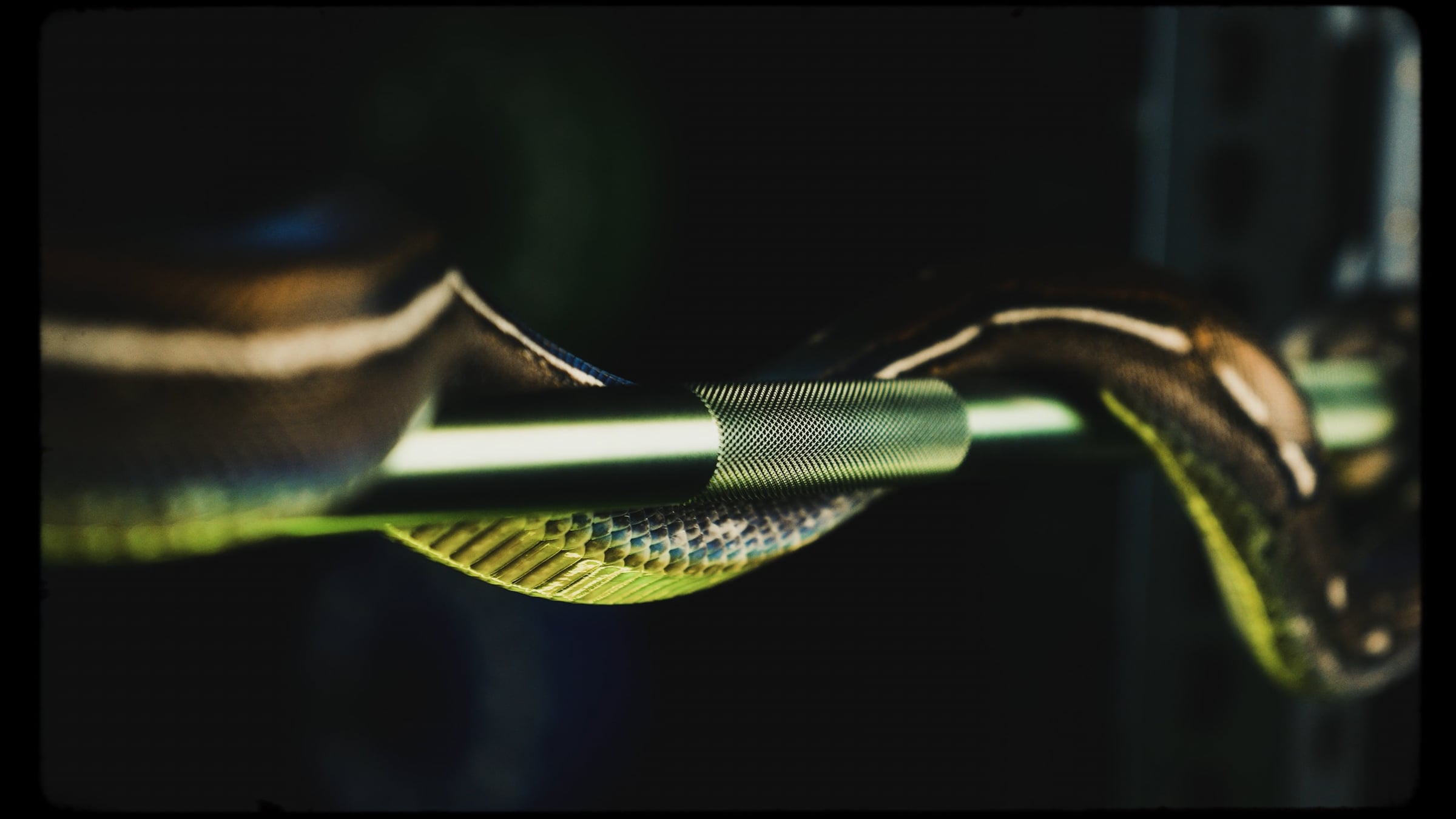 Medusa Power Bar | Titan Fitness