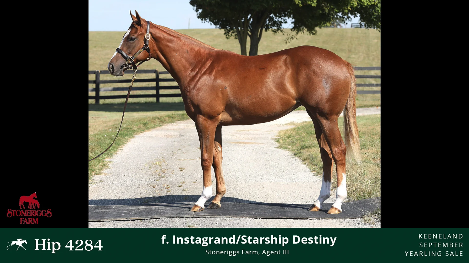 KEESEP24_4284_Starship Destiny 23