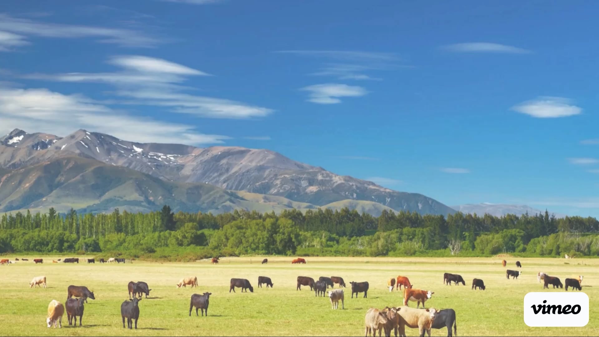 Ferron Family Farms Ltd - Ethnic Food, Grass Fed Meat, Goat Meat