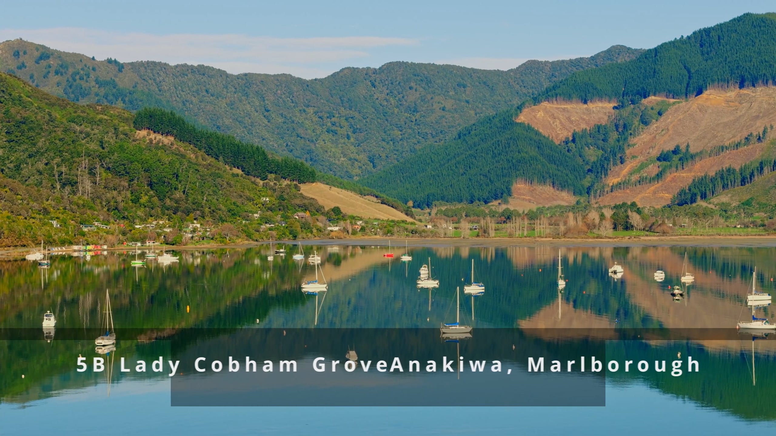 5B Lady Cobham Grove | Videos & Movies on Vimeo