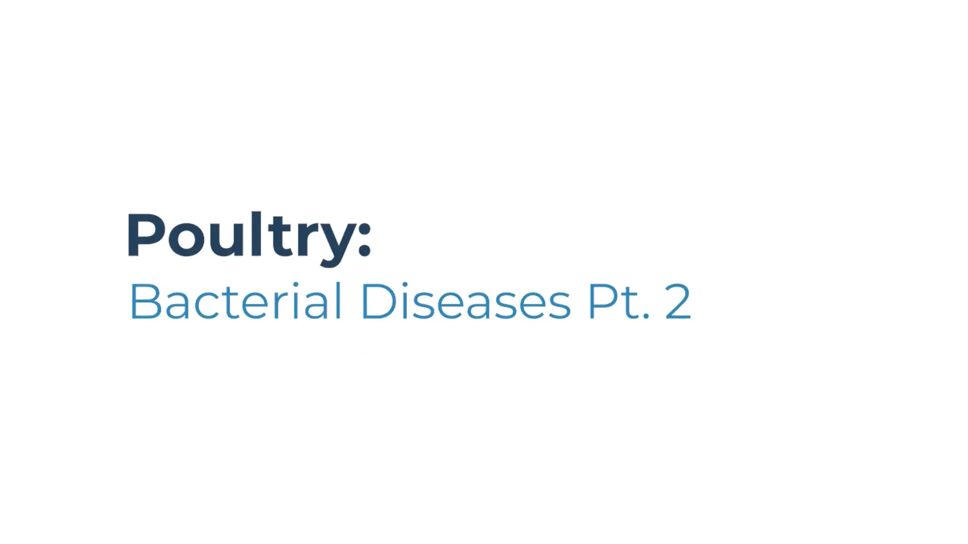 Poultry: Bacterial Diseases Pt. 2