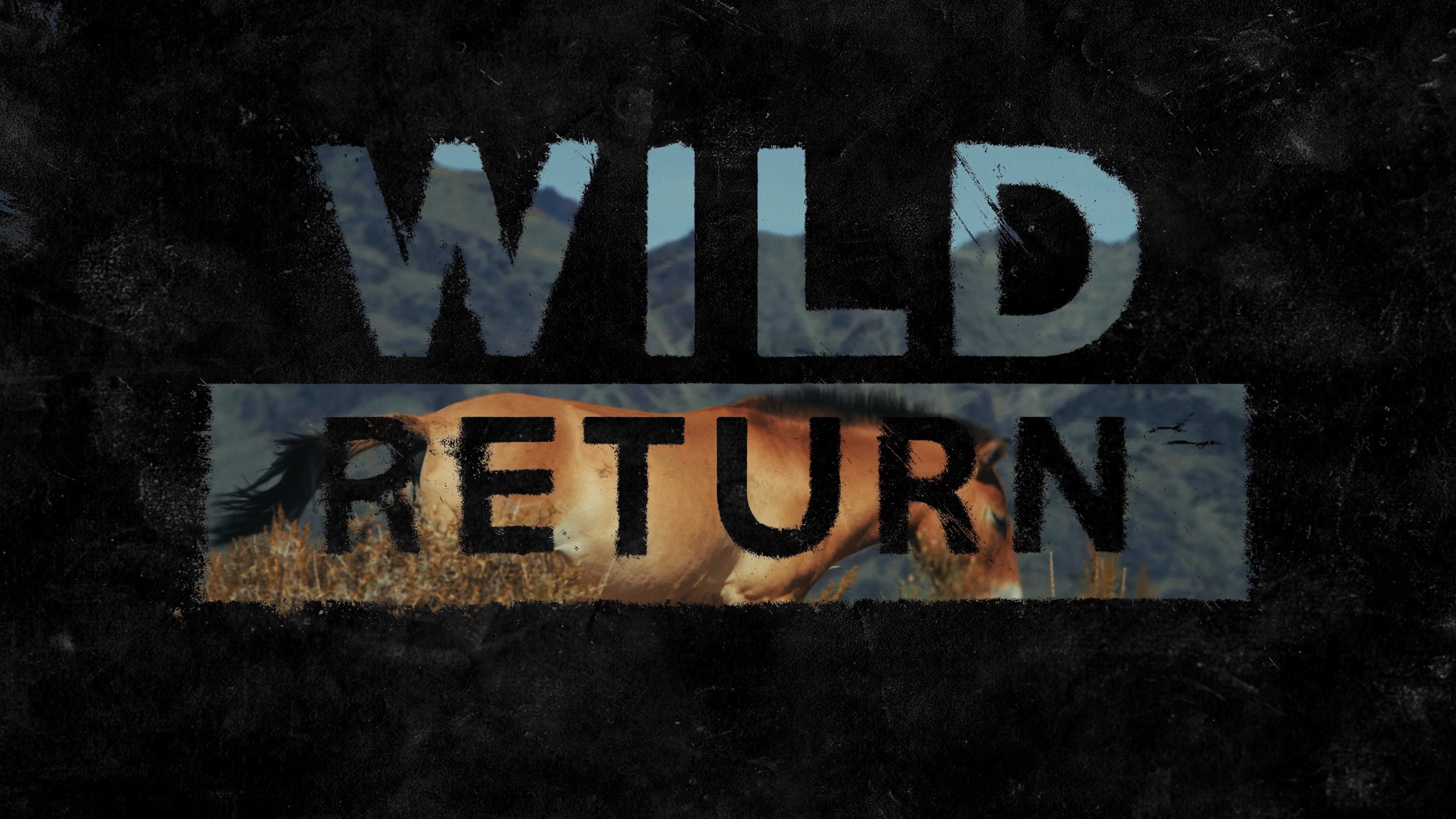 Wild Return | Official Trailer